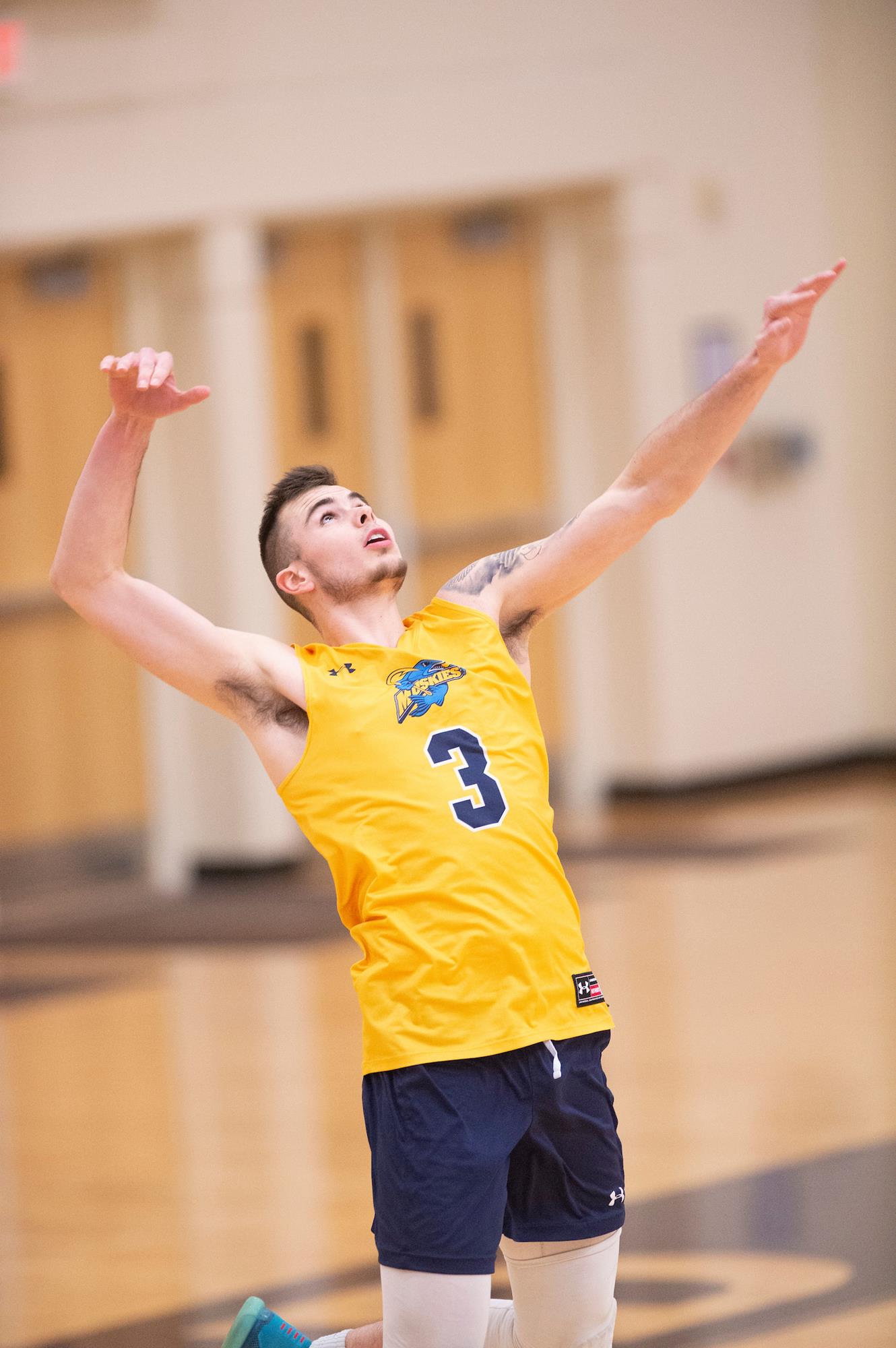 Nathan Vanderwaal - 2020 - Men's Volleyball - Lakeland University Athletics