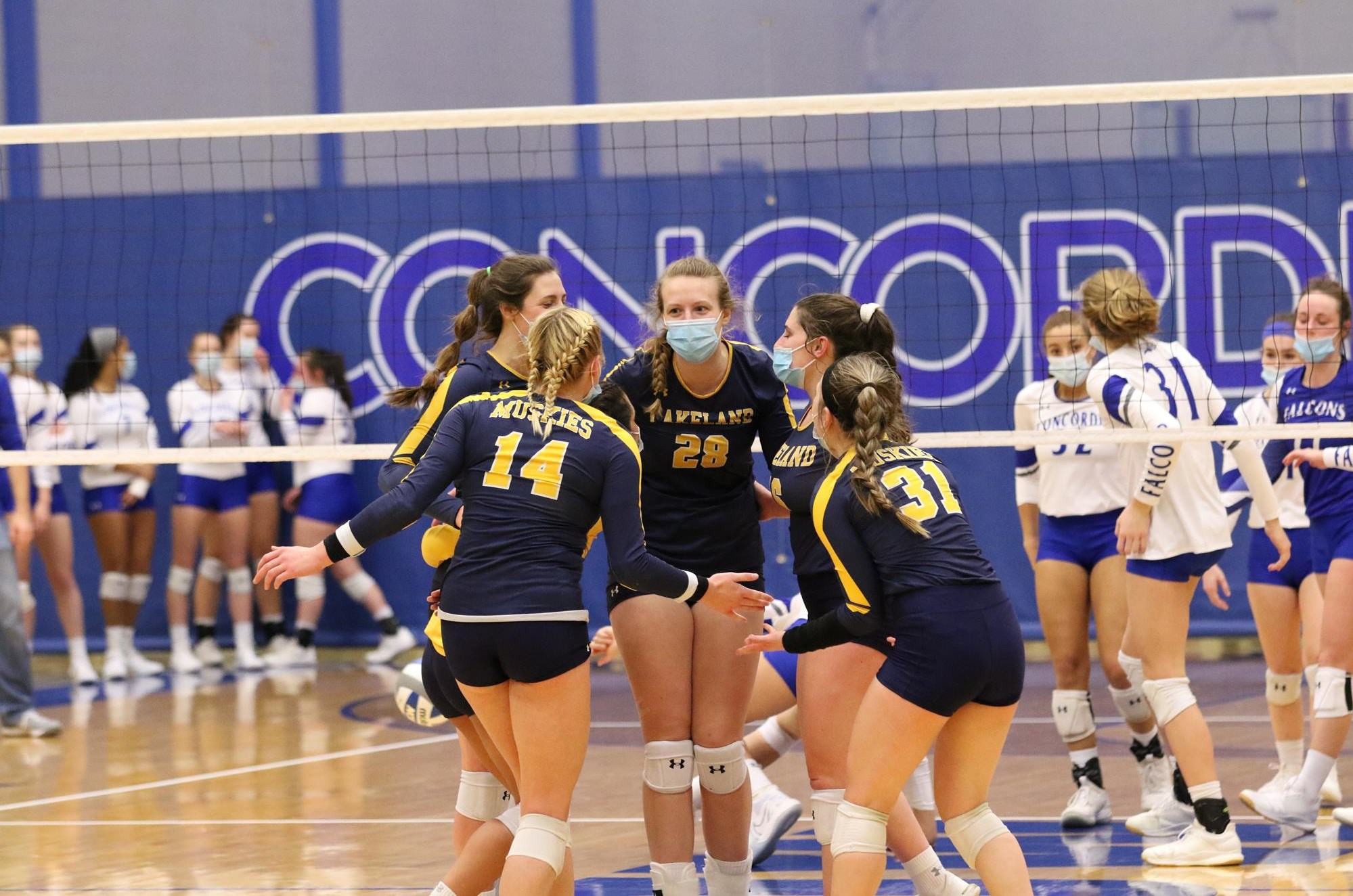 Emily Bird - 2022 - Women's Volleyball - Lakeland University Athletics