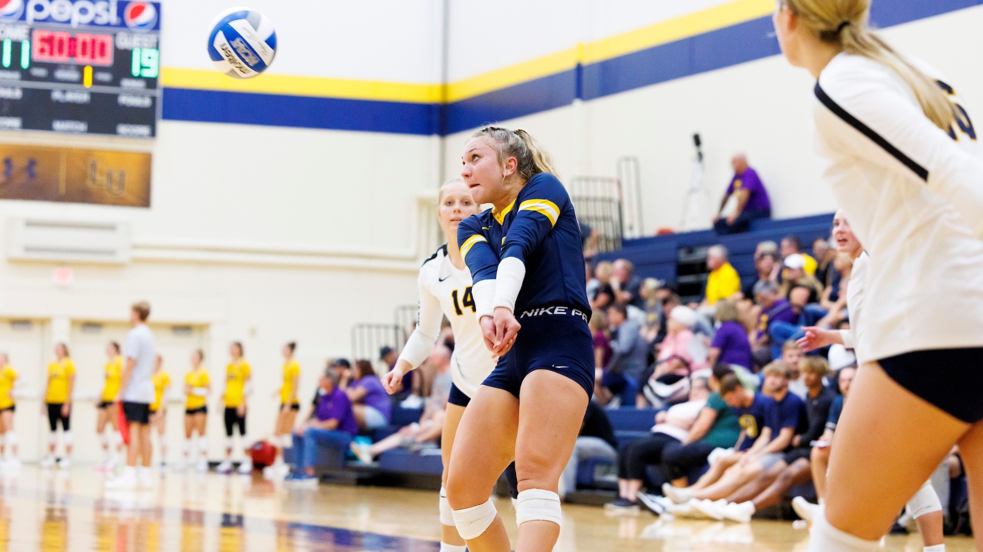 Maeve Sullivan - 2023 - Women's Volleyball - Lakeland University Athletics