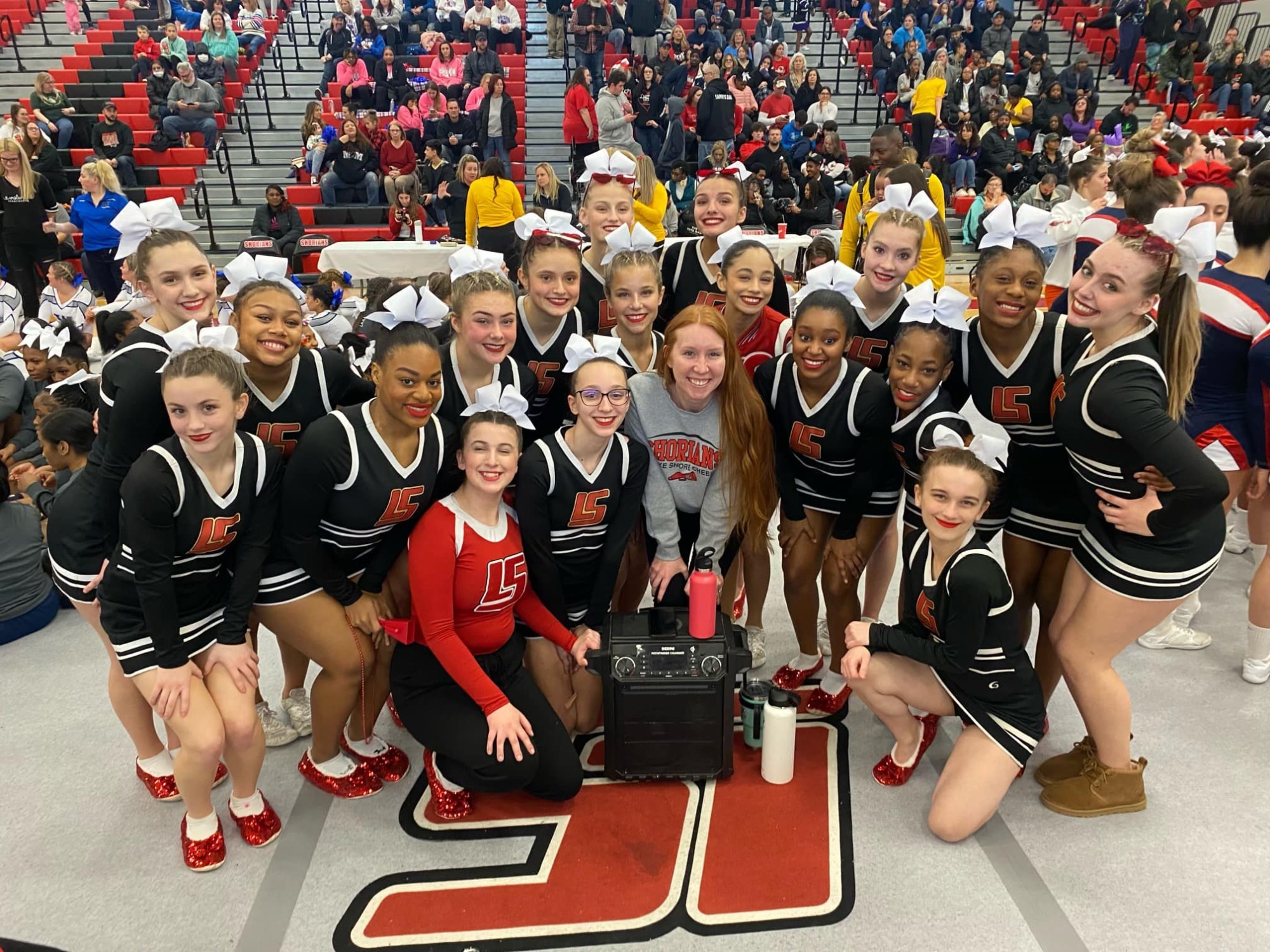 Varsity Cheer Ranked Third in State for D2 - Lake Shore Public Schools