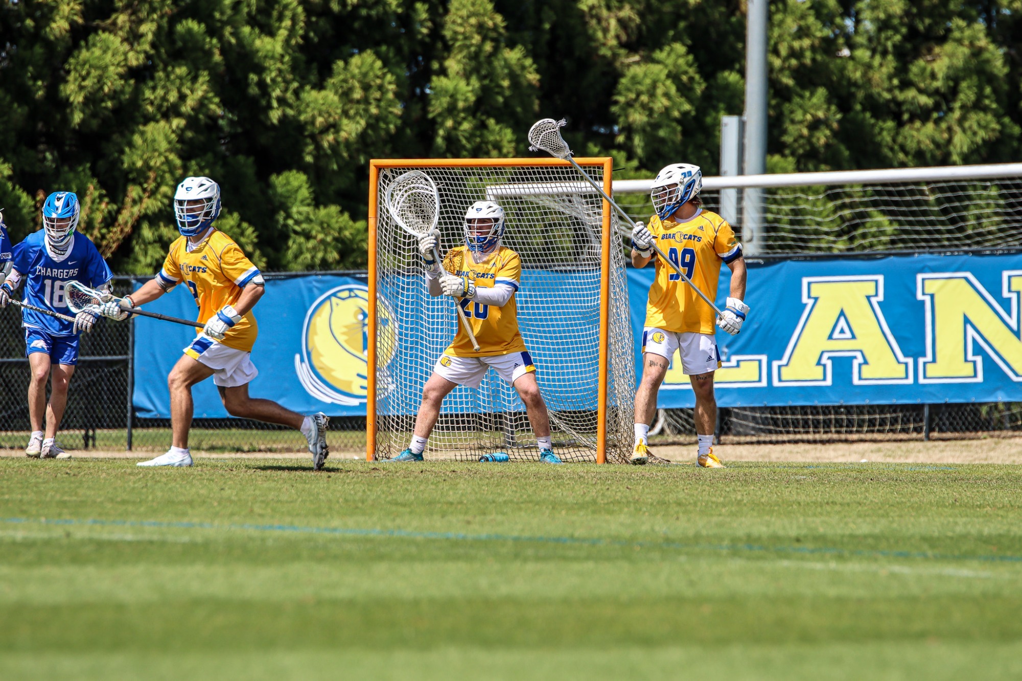 Jake Watson - 2024 - Men's Lacrosse - Lander University