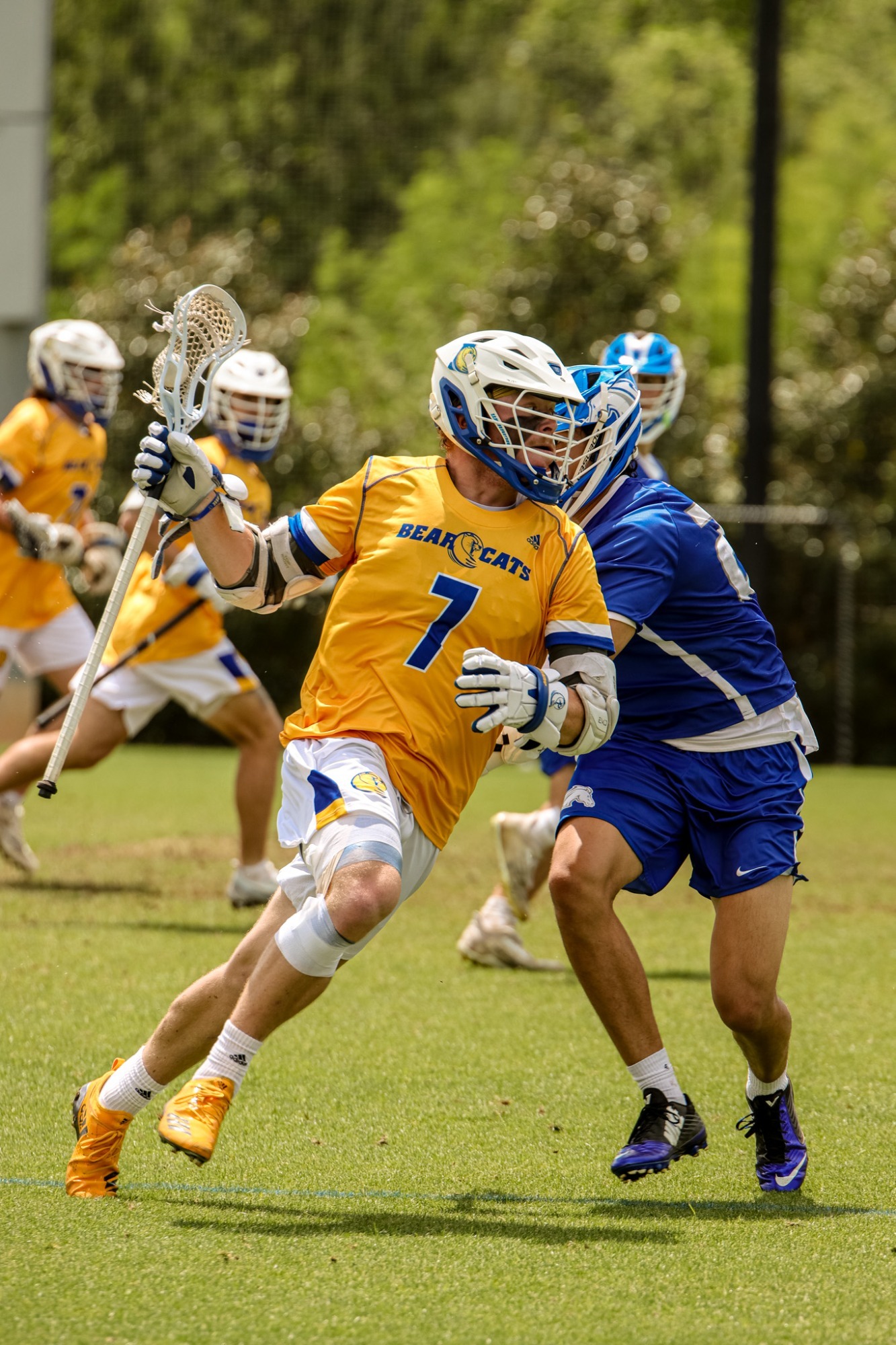 Krew Conroy - 2024 - Men's Lacrosse - Lander University