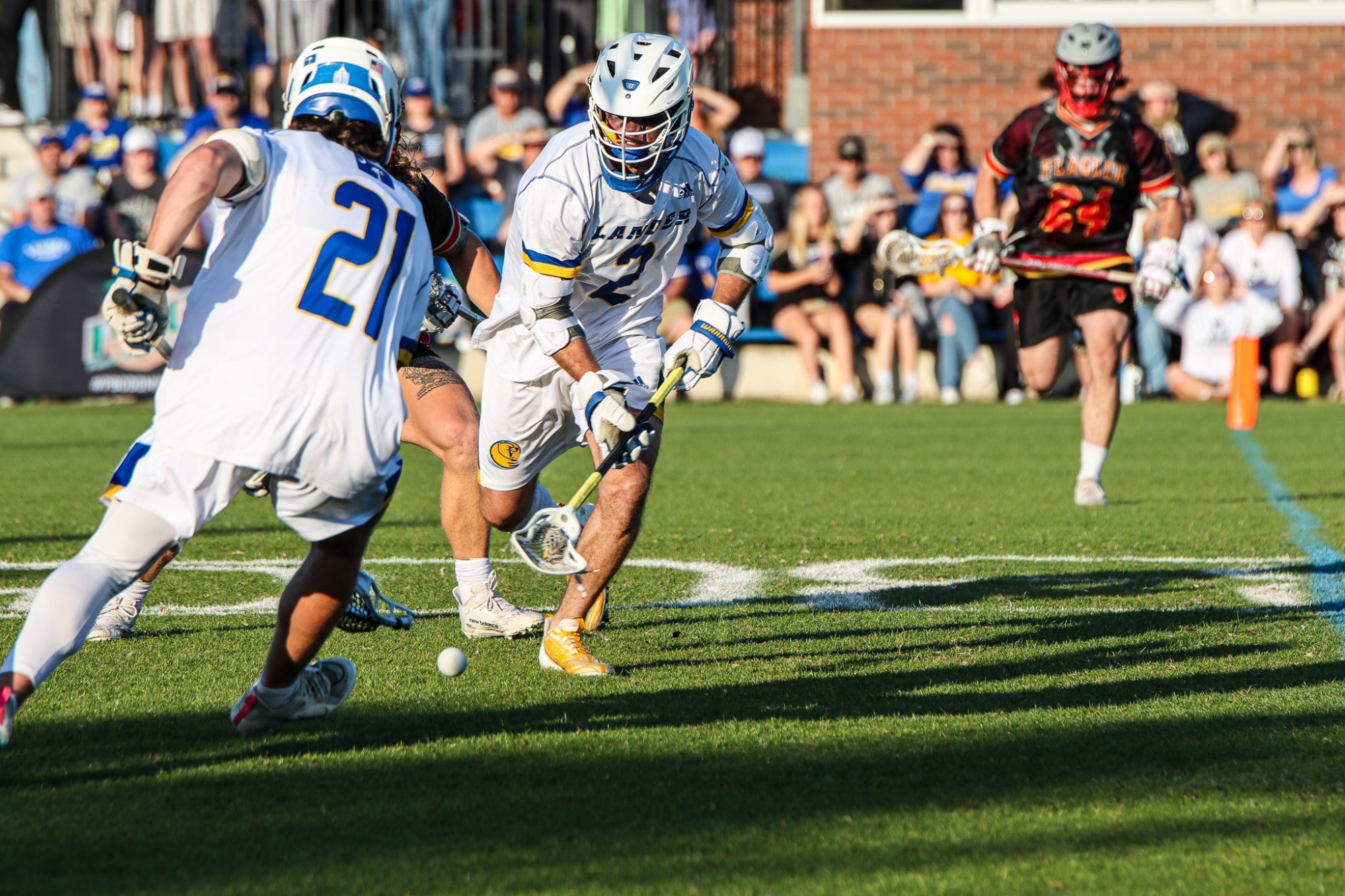 Jake Watson - 2024 - Men's Lacrosse - Lander University