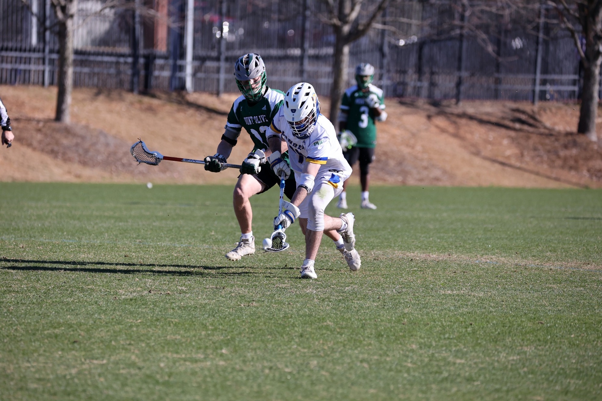 Tyler Carroll - 2024 - Men's Lacrosse - Lander University