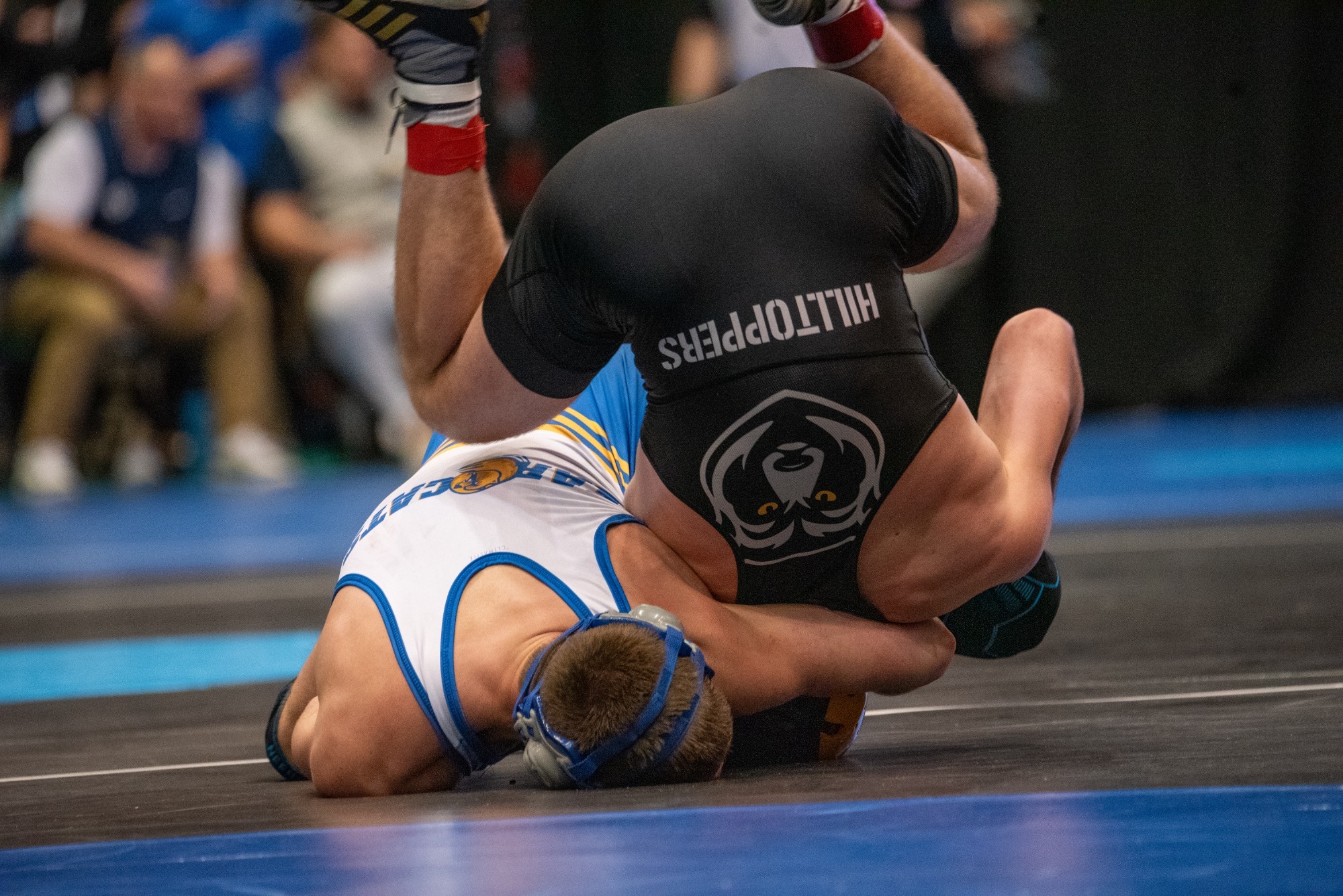 Anthony Yacovetti - 2023-24 - Wrestling - Lander University