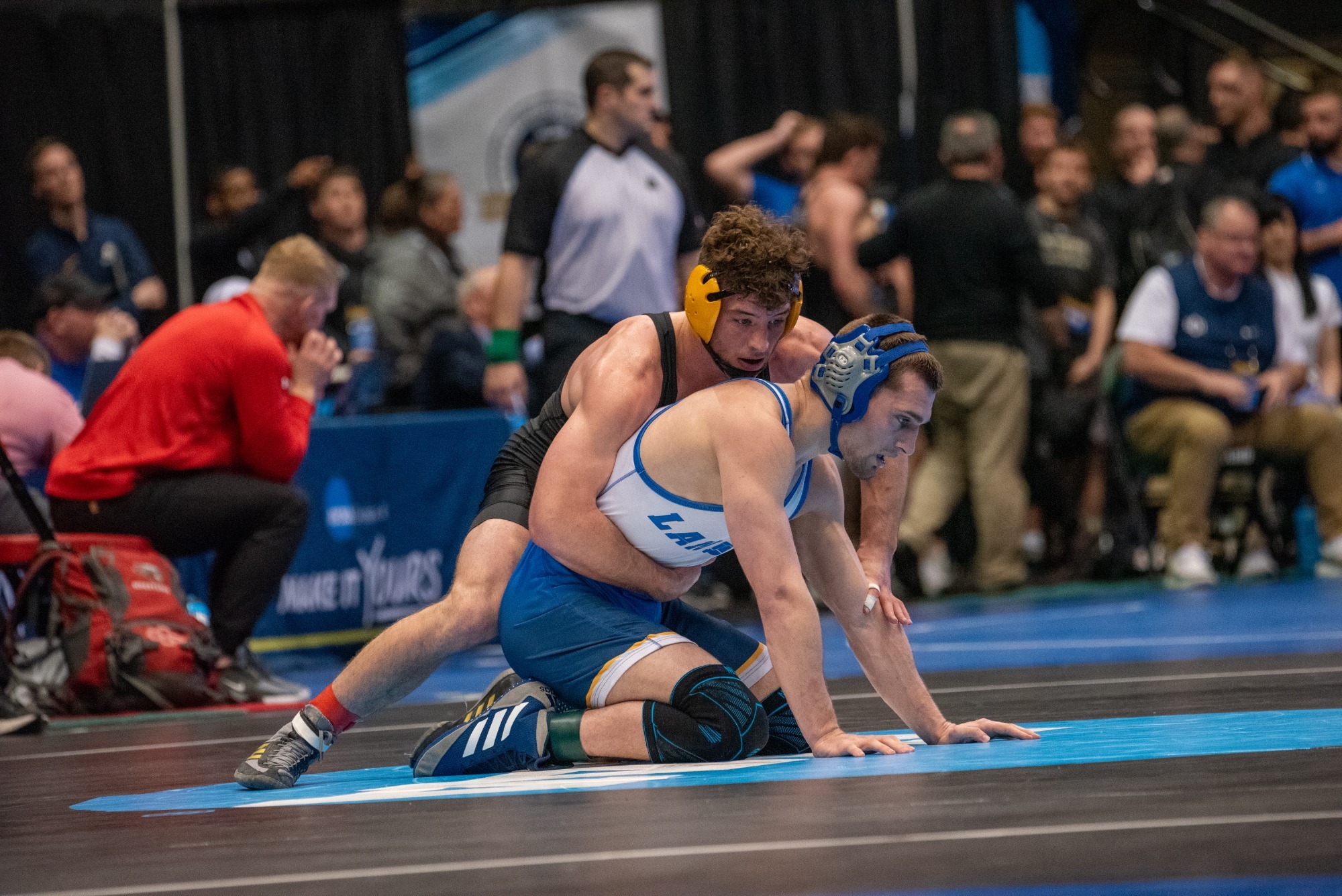 Anthony Yacovetti - 2023-24 - Wrestling - Lander University