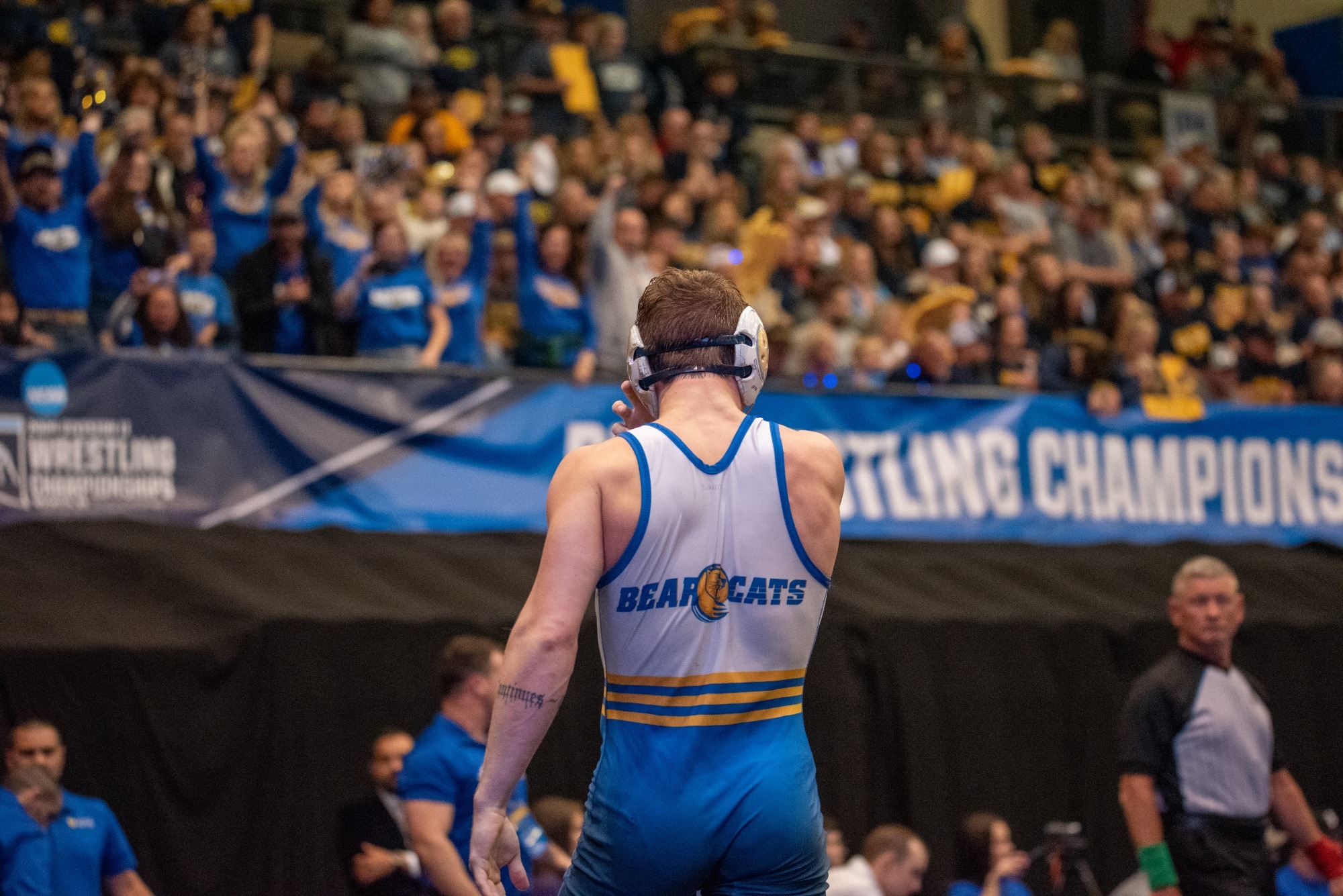 Anthony Yacovetti - 2023-24 - Wrestling - Lander University