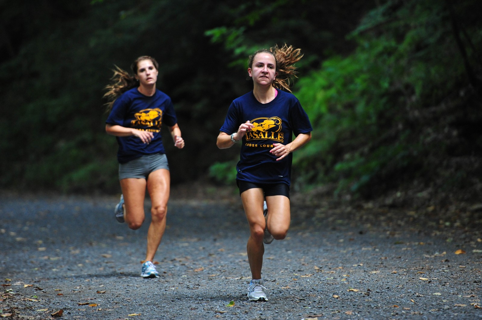 Michelle Capozzi - Women's Cross Country - La Salle University Athletics