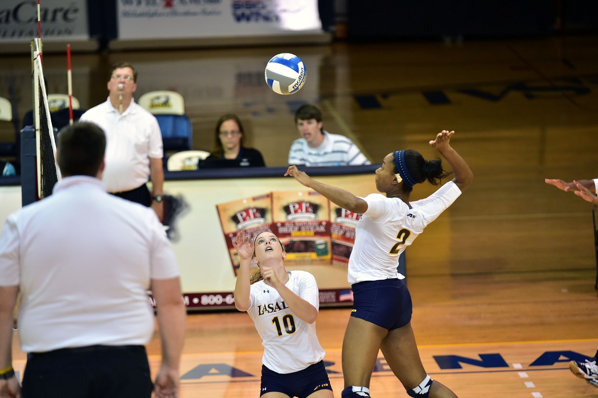 Michelle Healy - Women's Volleyball - La Salle University Athletics