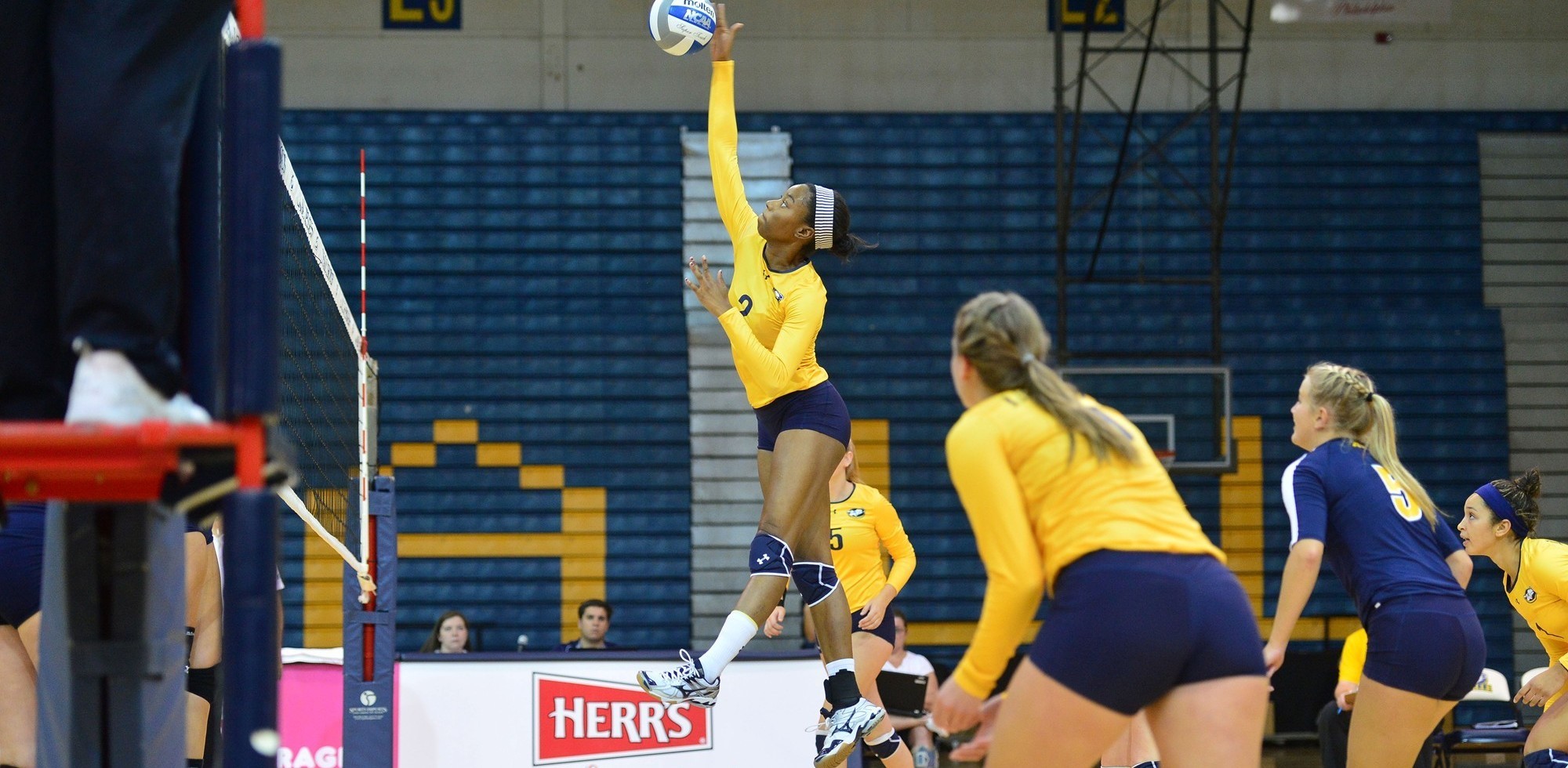 Ashley Felton - Women's Volleyball - La Salle University Athletics