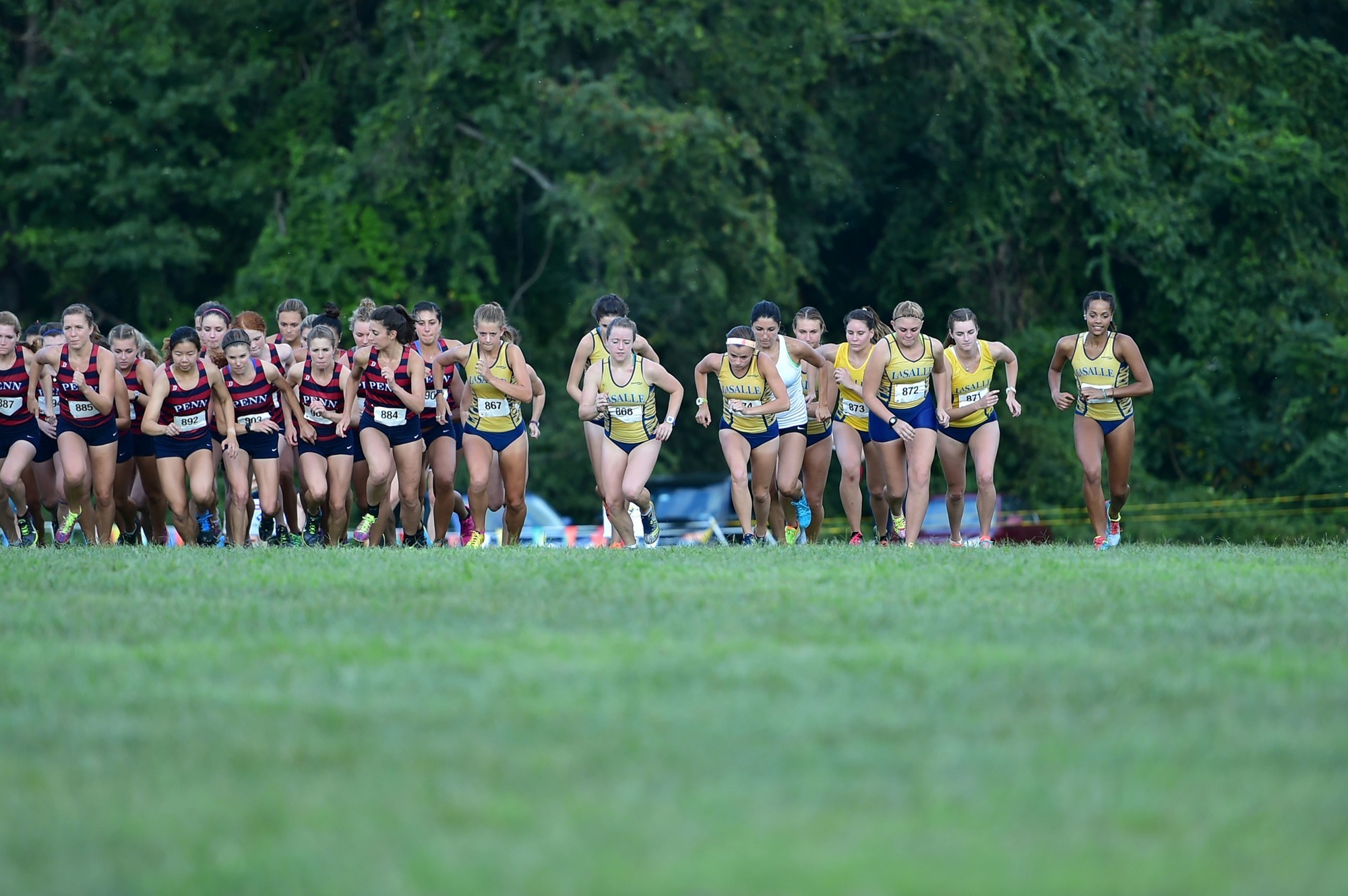 Molly Dearie - Women's Cross Country - La Salle University Athletics