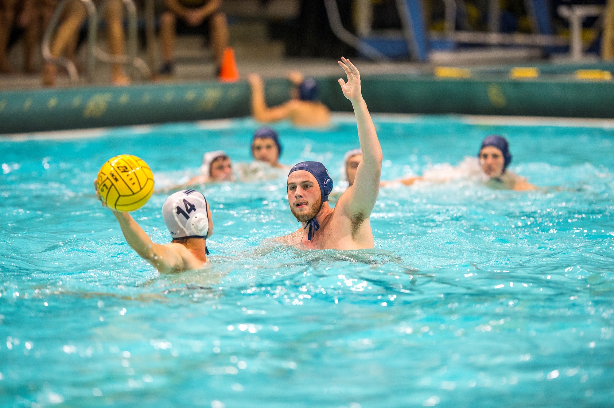 Keegan Reilly - Men's Water Polo - La Salle University Athletics
