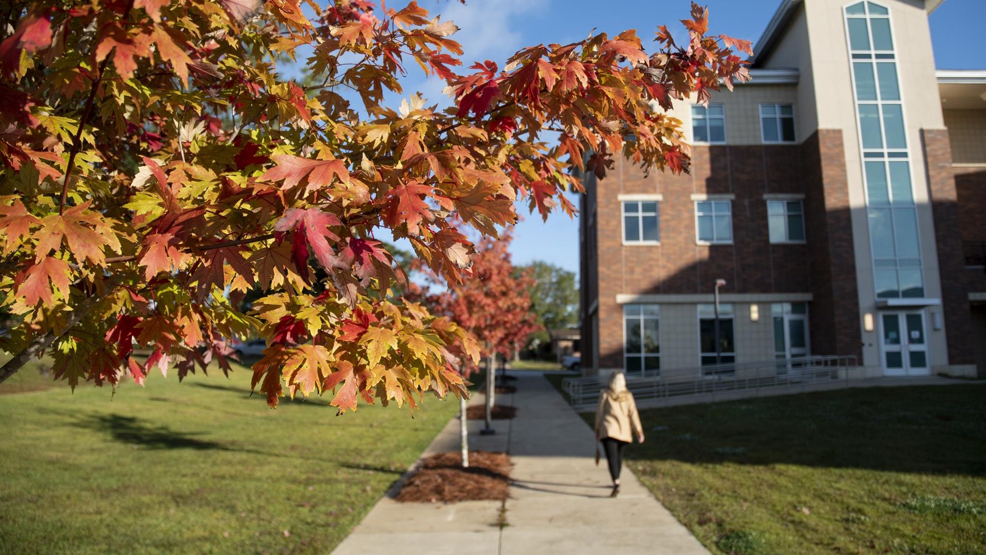 LA Tech Student-Athletes Shine during Fall Quarter - LA Tech Athletics