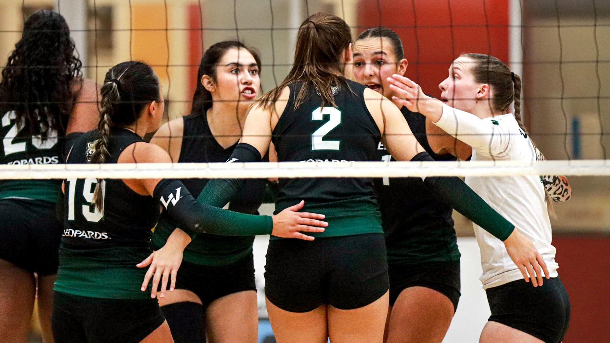 Volleyball Falls in SCIAC Championship, Hopes for at-large Bid ...