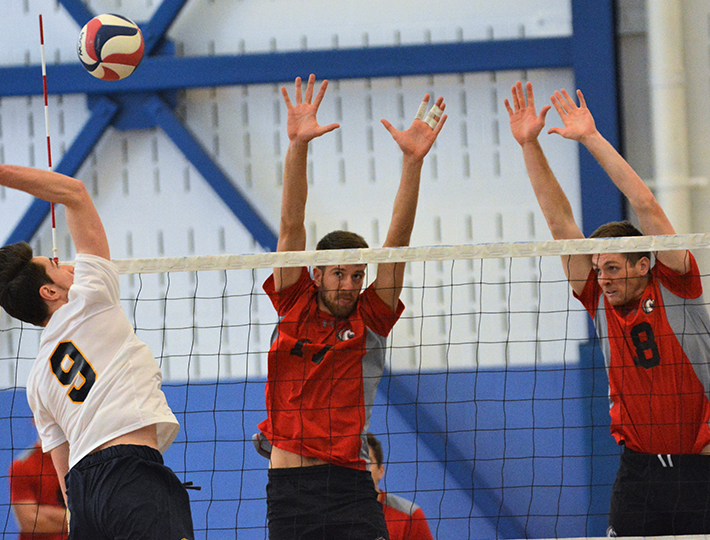 Zeke Hallman - 2020 - Men's Volleyball - Lancaster Bible College Athletics