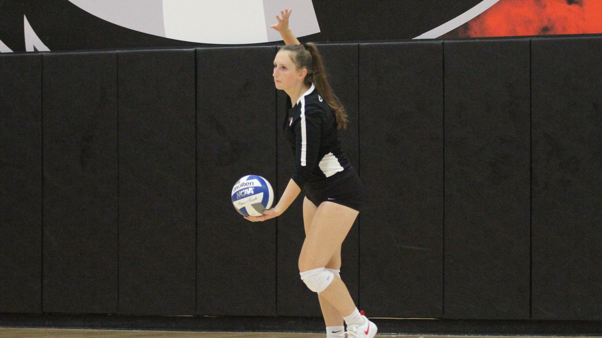 Women's Volleyball Splits Virginia Tri-Match - Lancaster Bible College ...