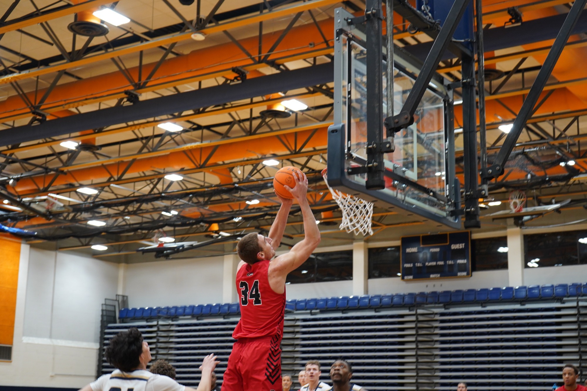 Zentner Honored as United East Student-Athlete of the Year - Lancaster ...