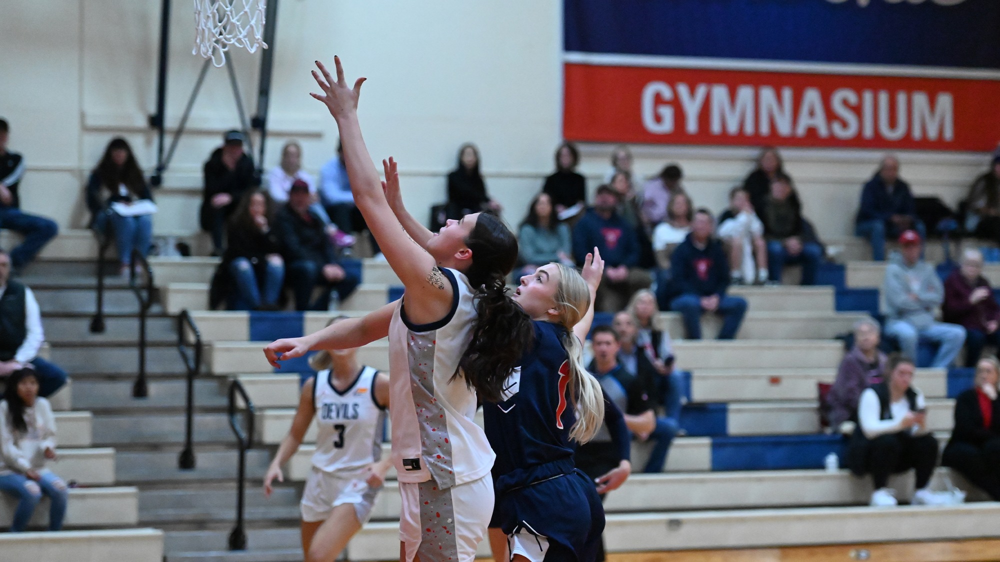 Bailee Larson - Women's Basketball - Lower Columbia College Athletics