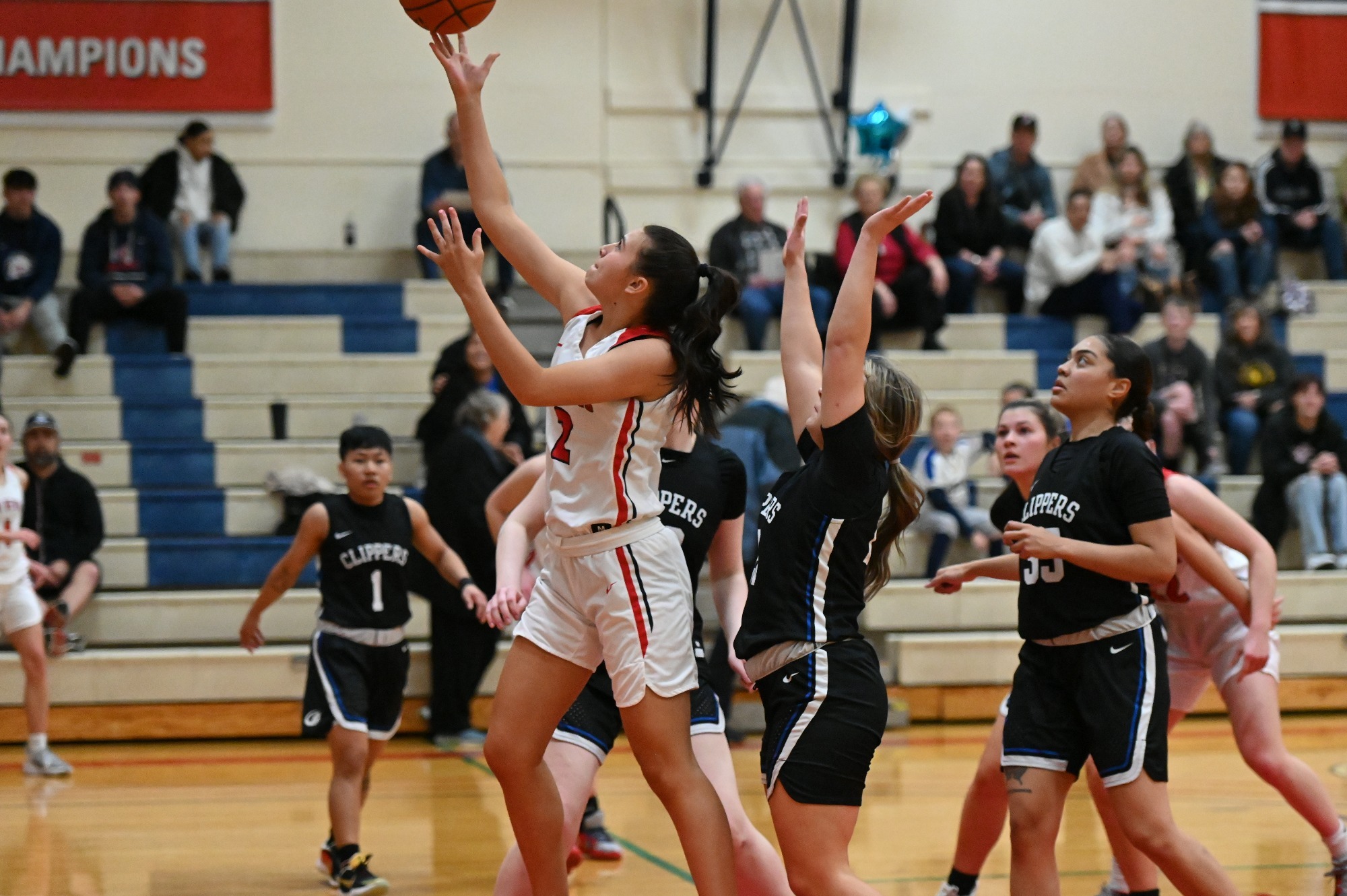Bailee Larson - Women's Basketball - Lower Columbia College Athletics