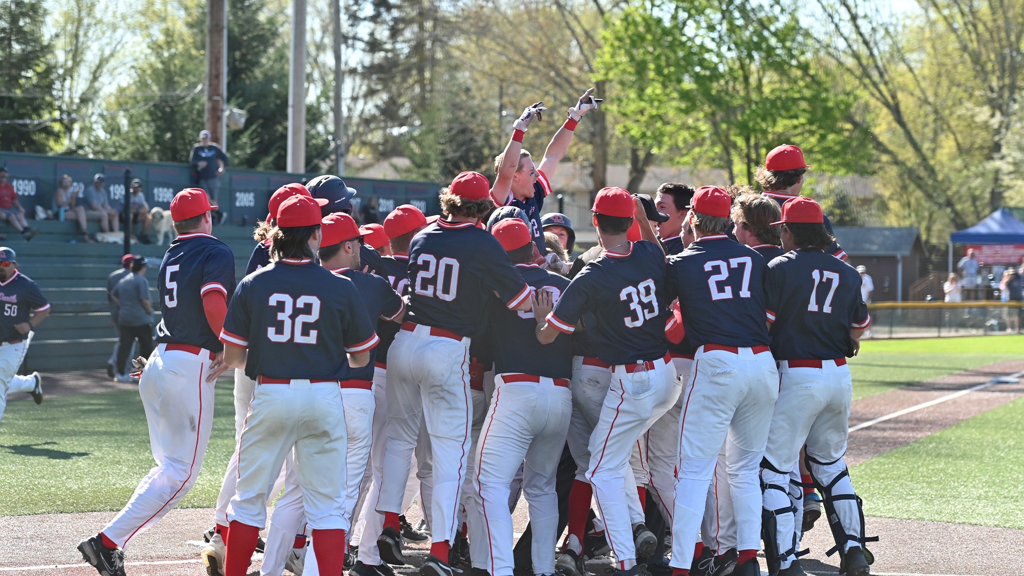 Tyler Peterson - Baseball - Lower Columbia College Athletics