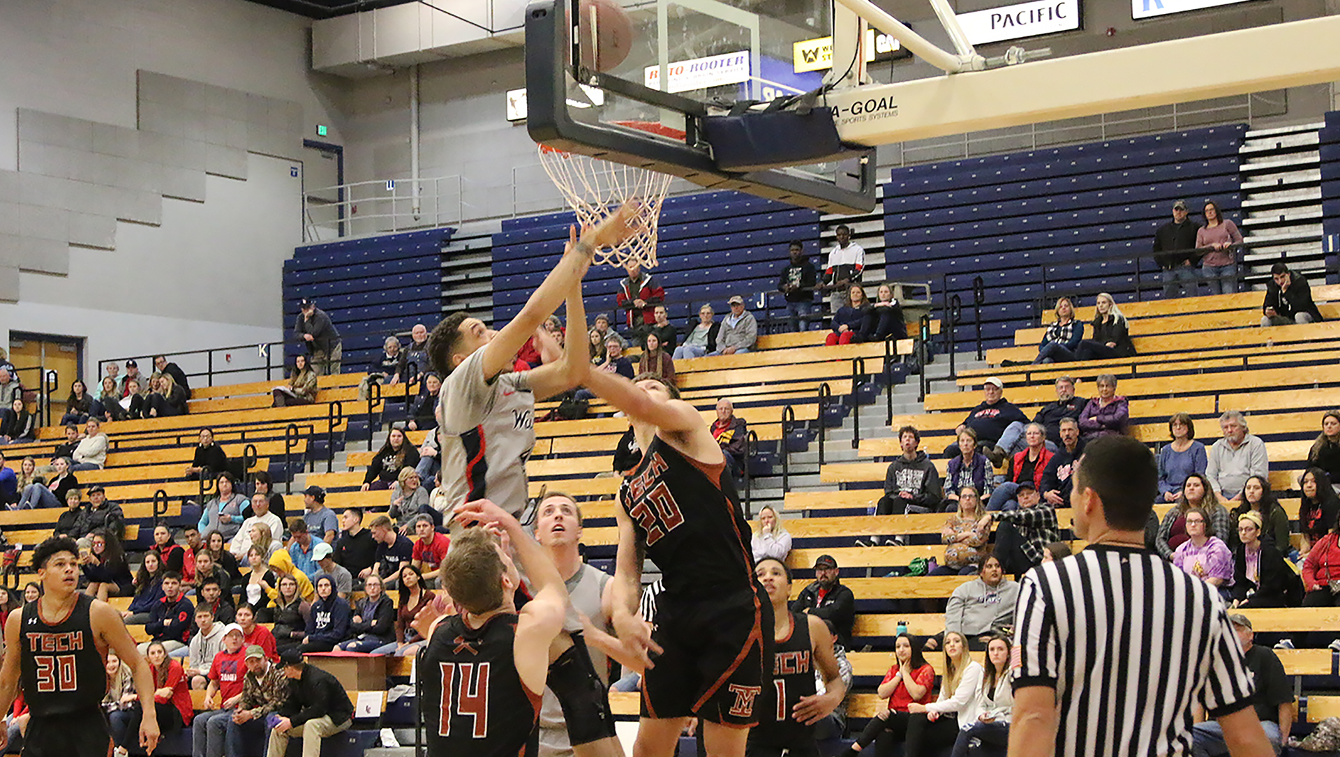 Andre McCowan - Men's Basketball - Lewis-Clark State College Athletics