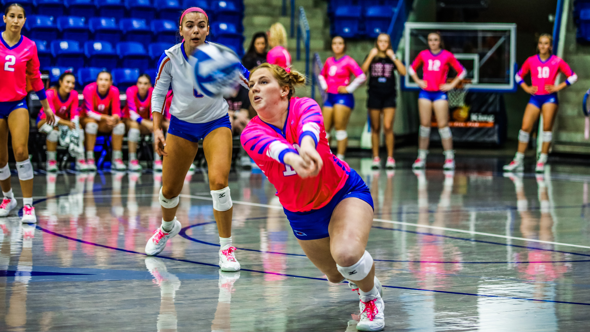 Macie Morgan - 2023 - Women's Volleyball - Lubbock Christian University ...