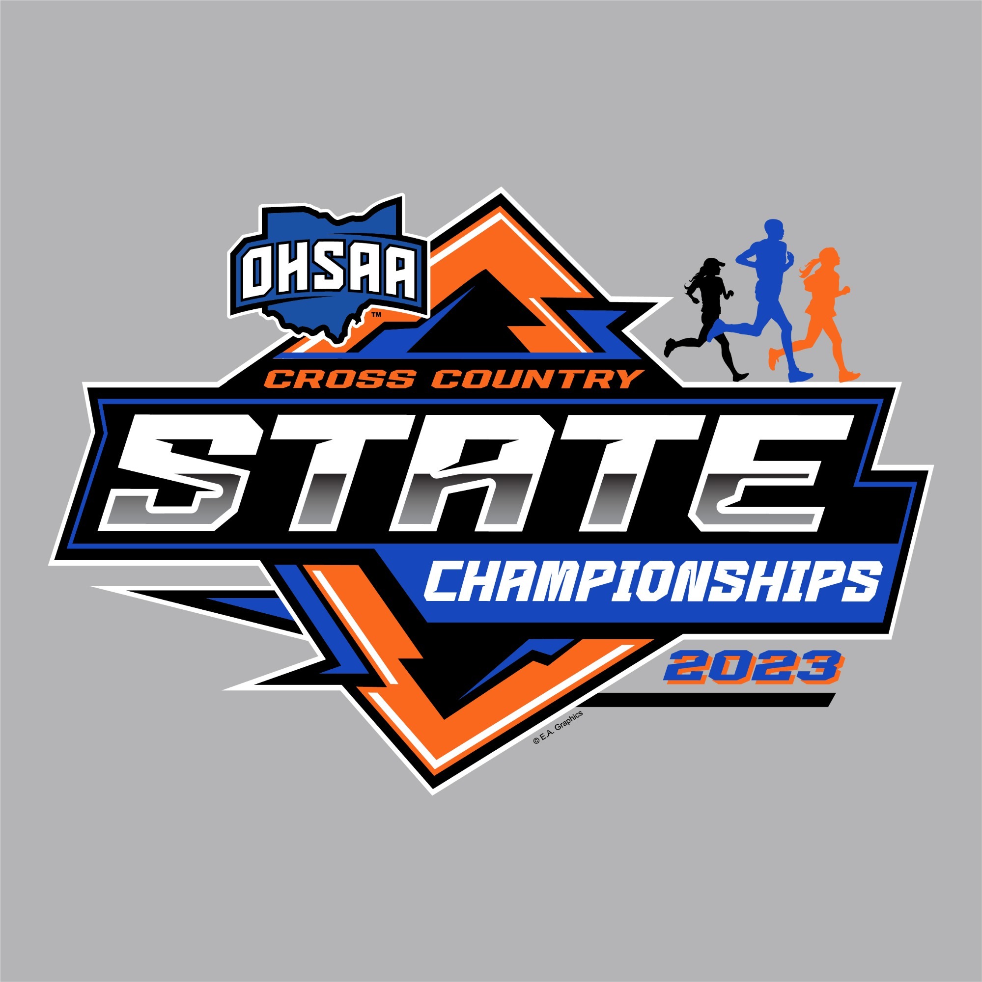Warriors Compete at OHSAA XC State Championships - Lebanon Warriors ...