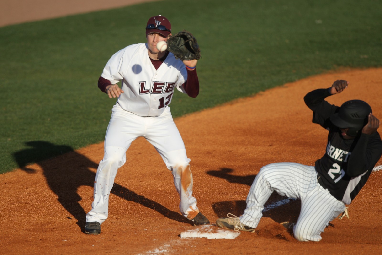 Brandon Rader - 2013 - Baseball - Lee University Athletics