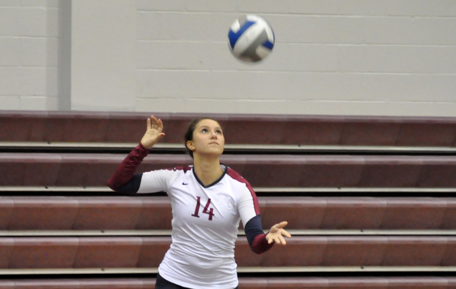 Sadie Johnson - 2017 - Volleyball - Lee University Athletics
