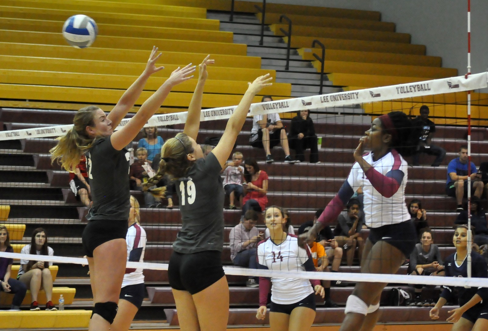 Catherine Conley - 2016 - Volleyball - Lee University Athletics