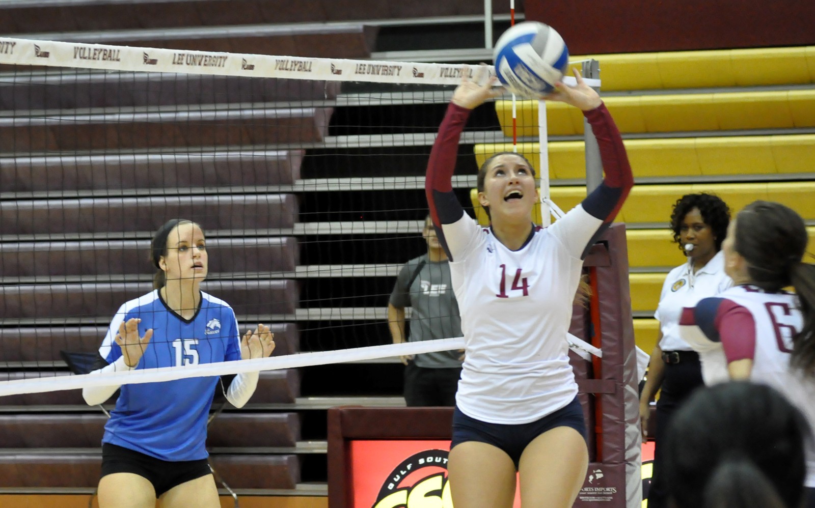 Sadie Johnson - 2017 - Volleyball - Lee University Athletics