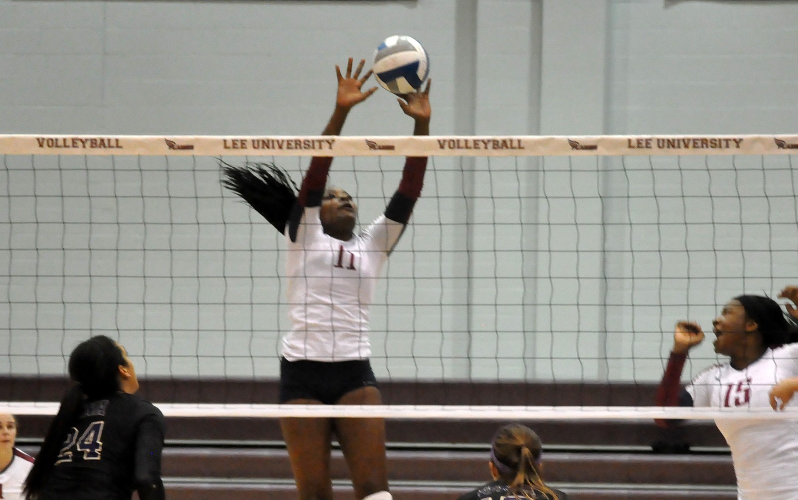 Catherine Conley - 2016 - Volleyball - Lee University Athletics