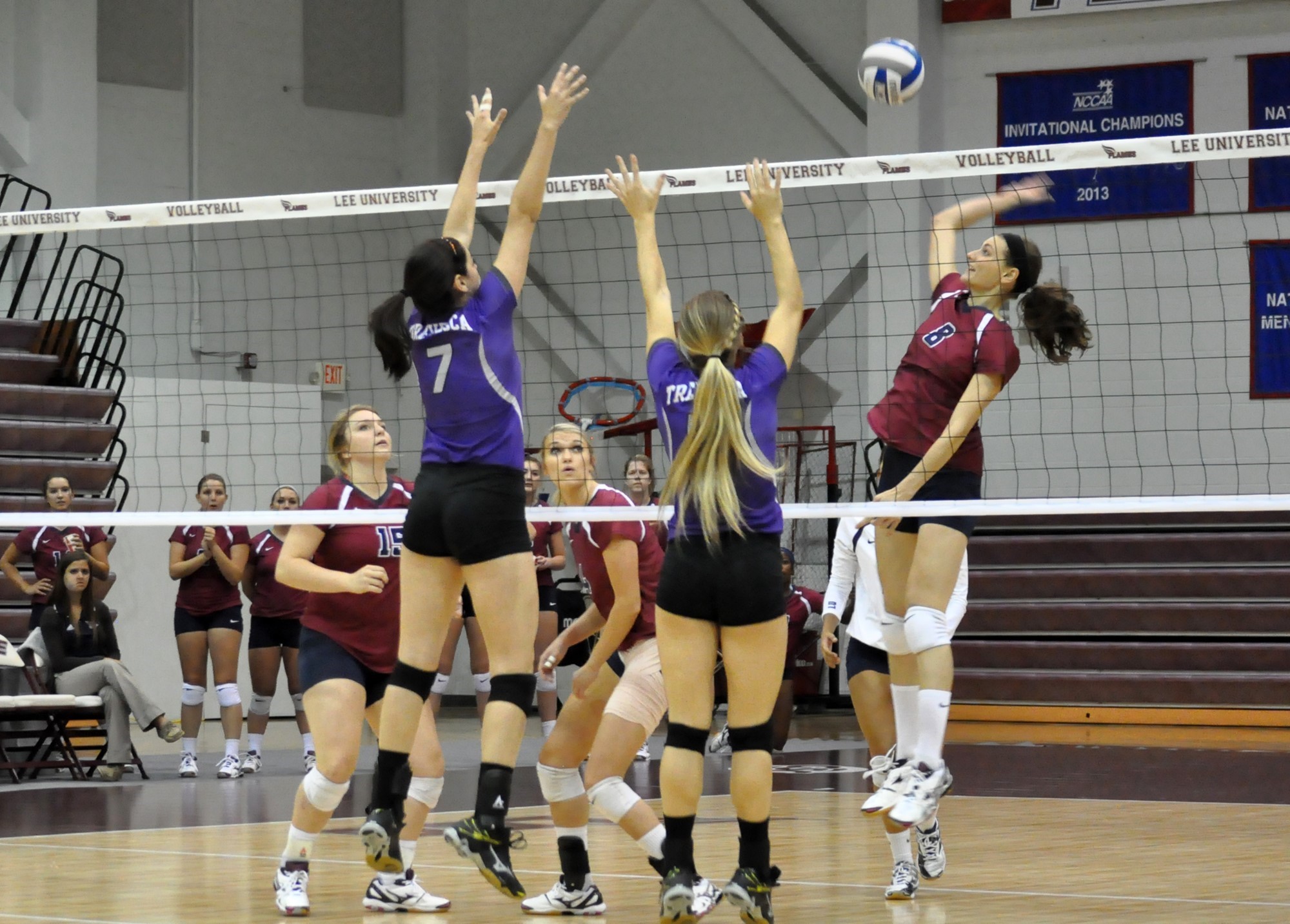 Emily Bento - 2018 - Volleyball - Lee University Athletics