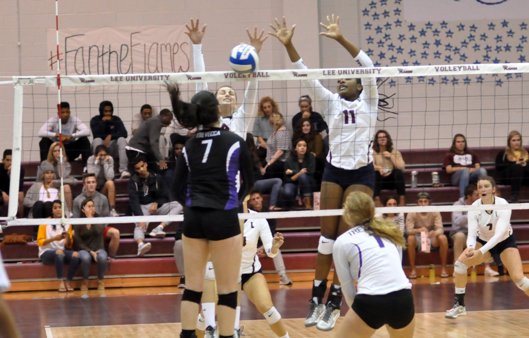 Emily Bento - 2018 - Volleyball - Lee University Athletics