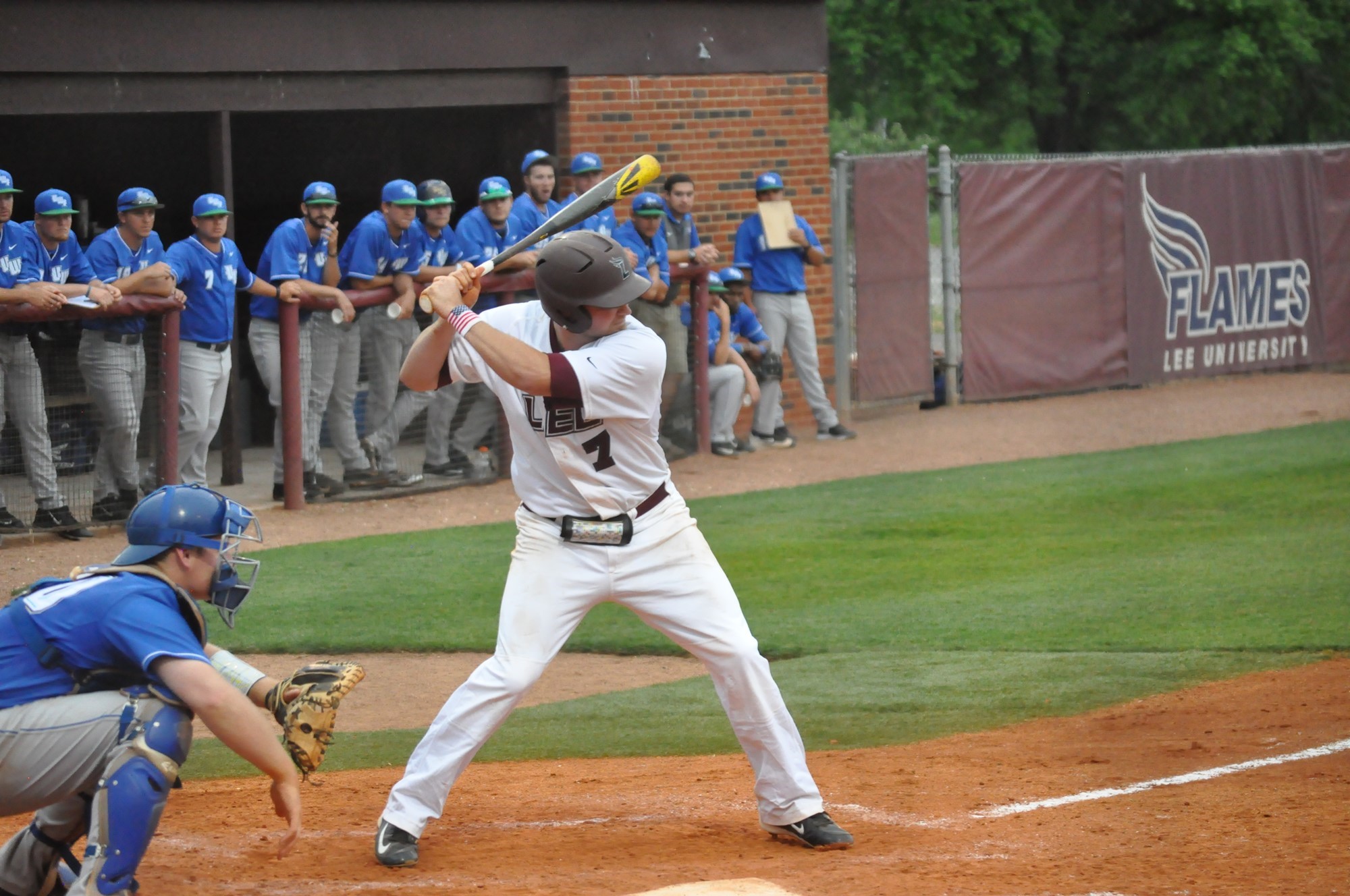 MJ Brown - 2016 - Baseball - Lee University Athletics