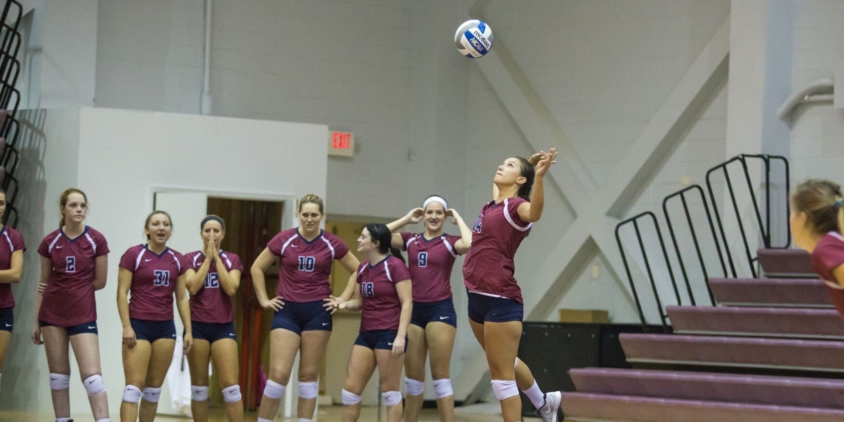 Sadie Johnson - 2017 - Volleyball - Lee University Athletics