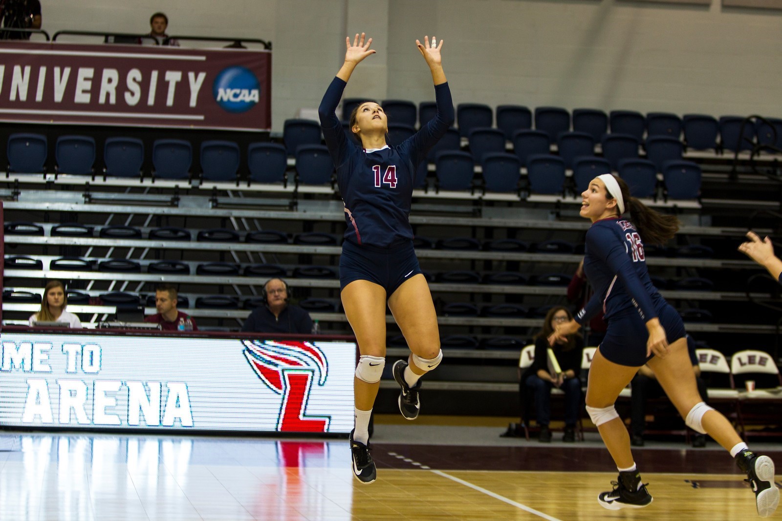 Sadie Johnson - 2017 - Volleyball - Lee University Athletics