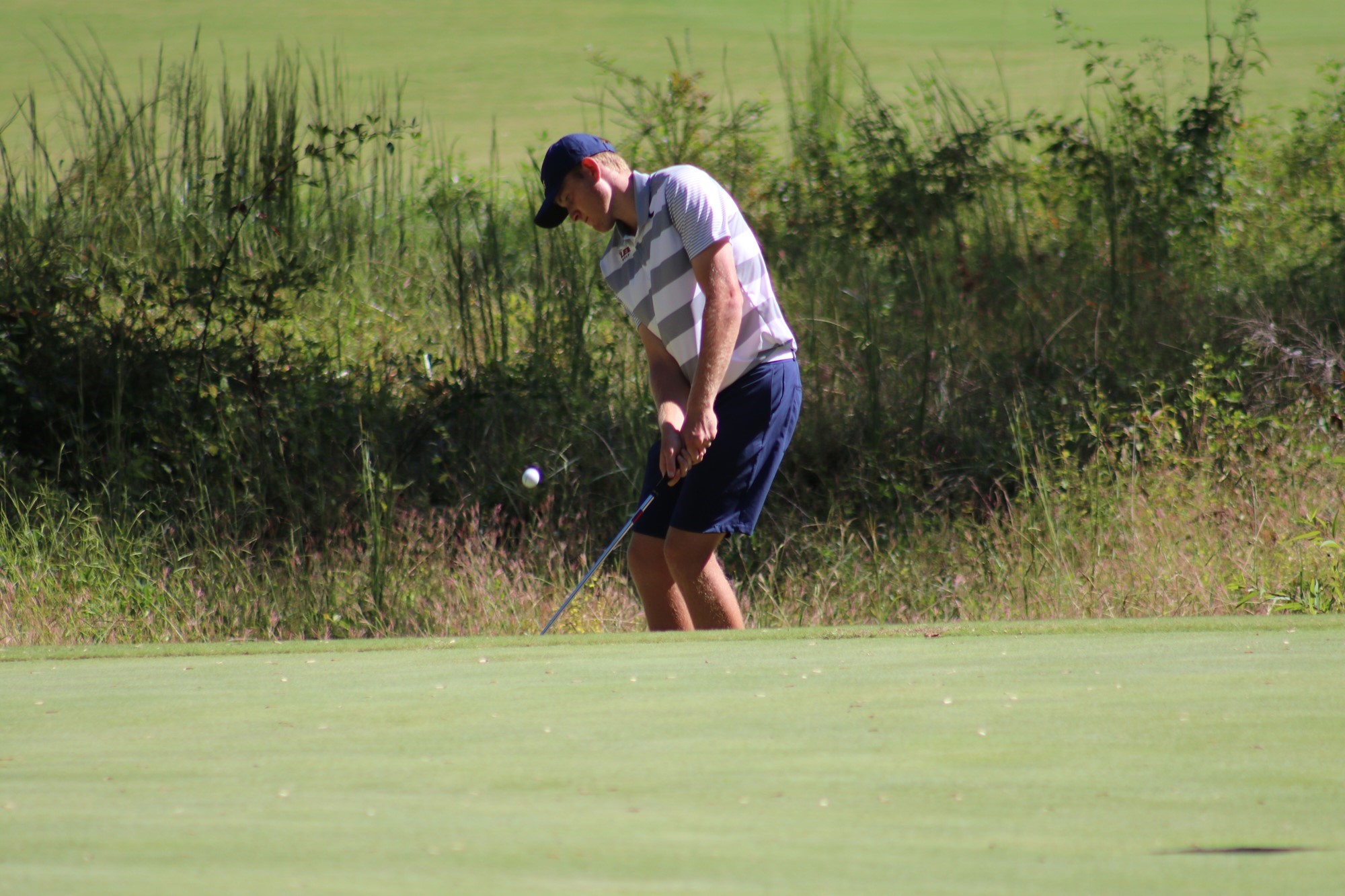 Corey Sheppard - 2017-2018 - Men's Golf - Lee University Athletics