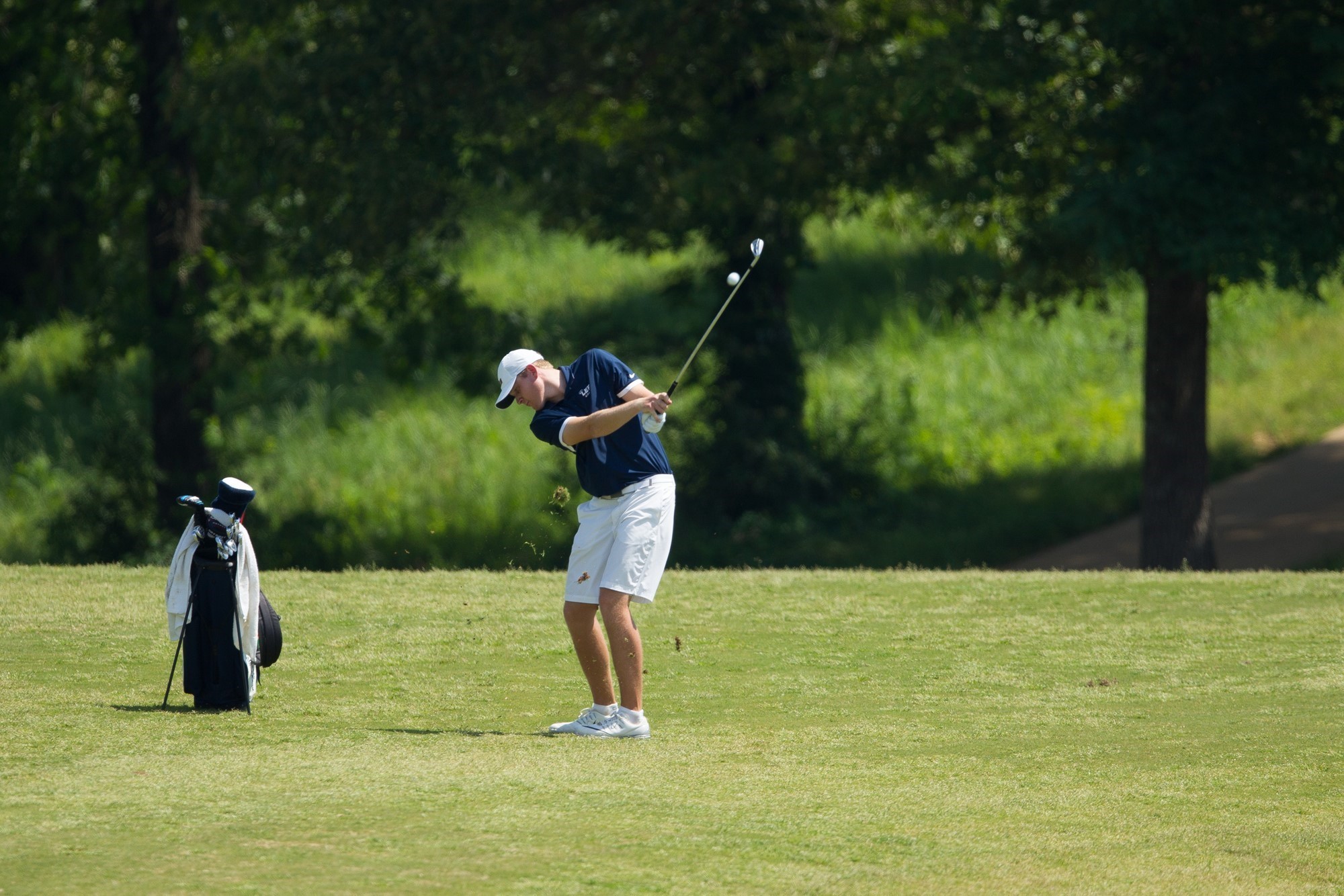 Corey Sheppard - 2017-2018 - Men's Golf - Lee University Athletics