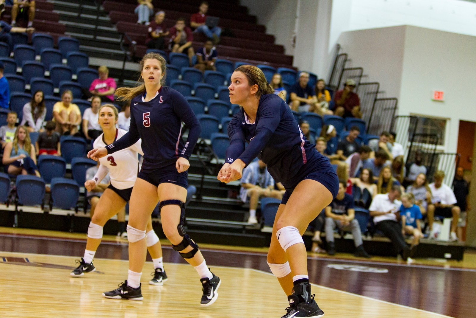 Brooke Wilsman - 2017 - Volleyball - Lee University Athletics