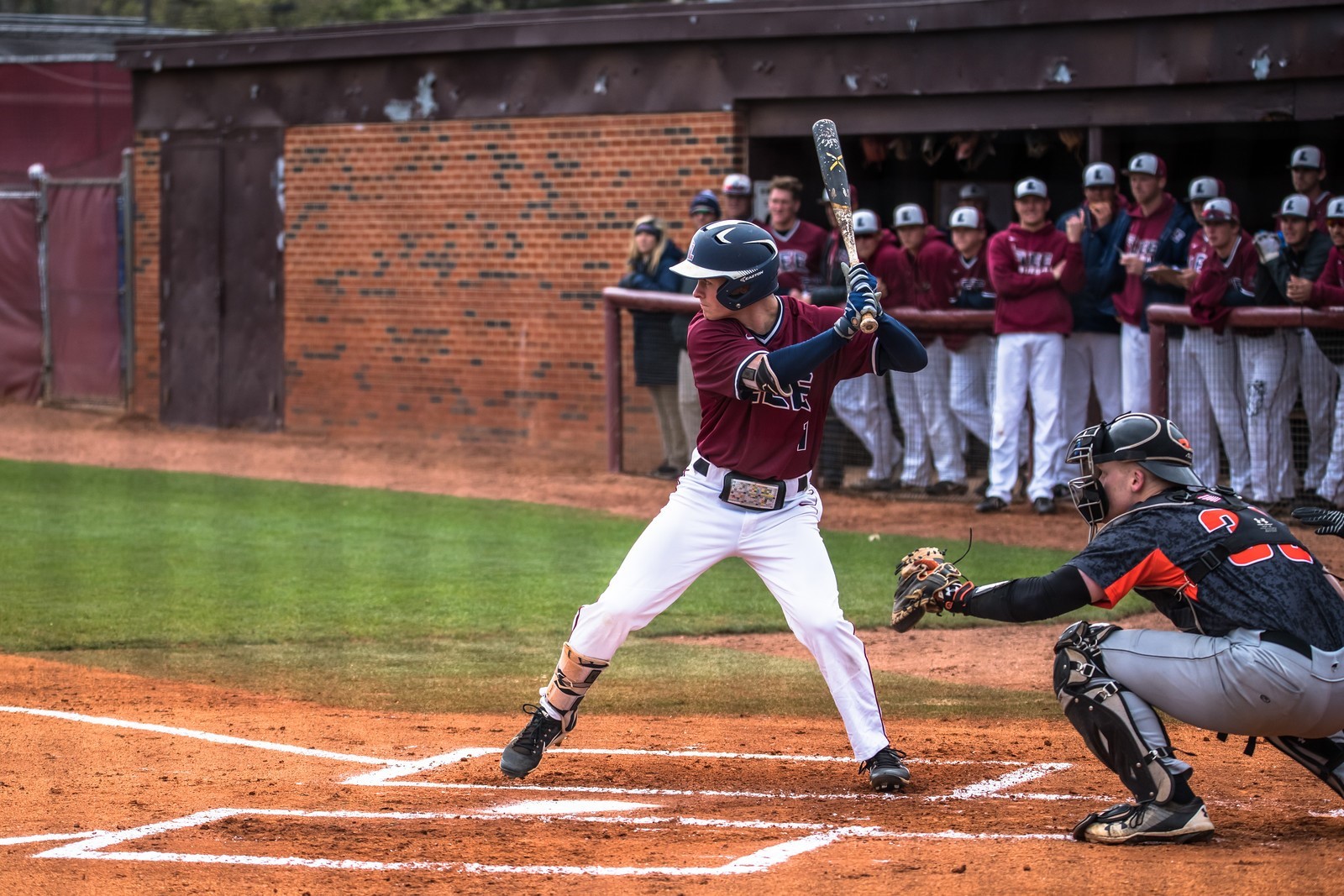 Tyler Payne - 2019 - Baseball - Lee University Athletics
