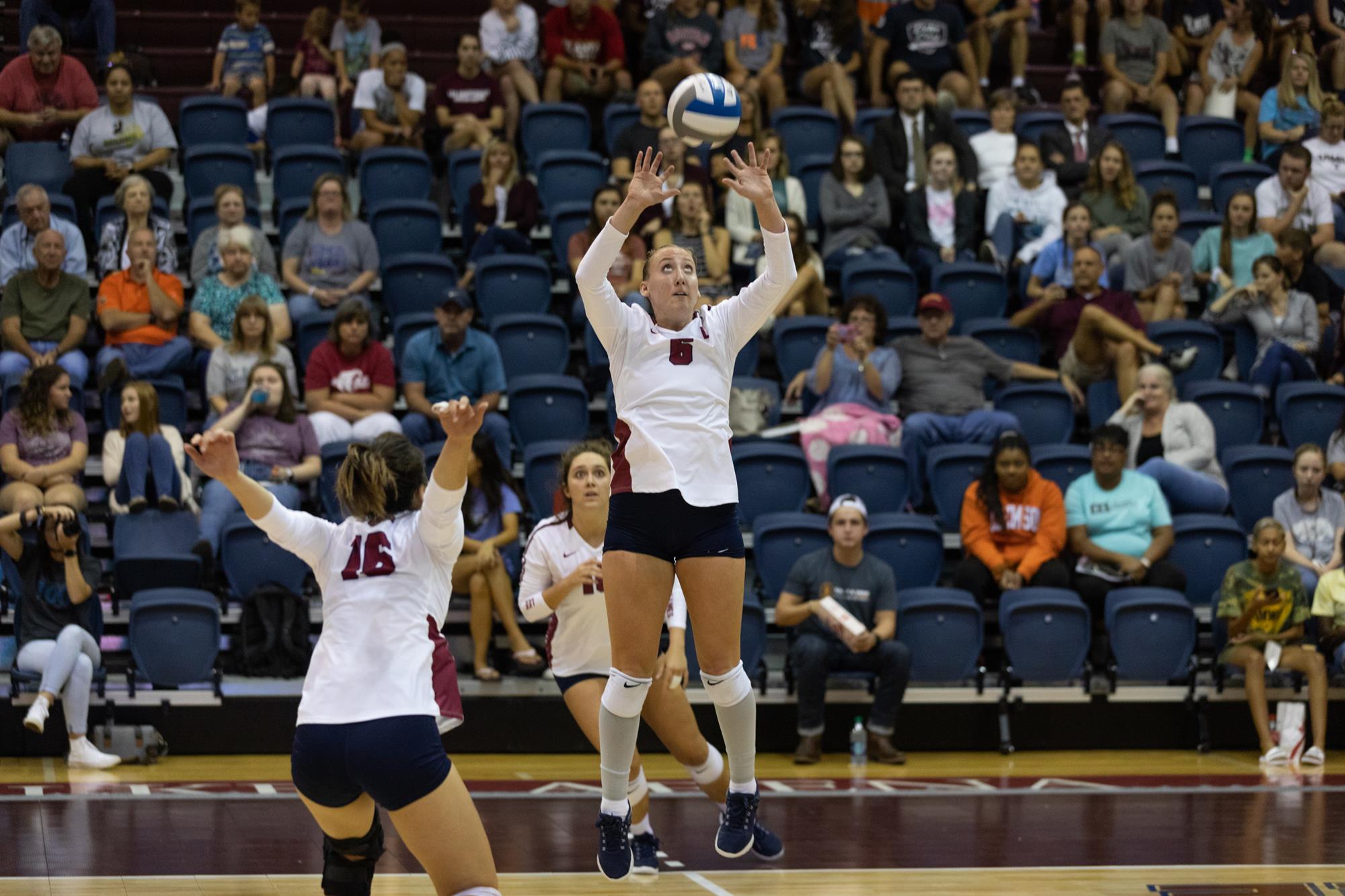 Hanna Matthews - 2019 - Volleyball - Lee University Athletics