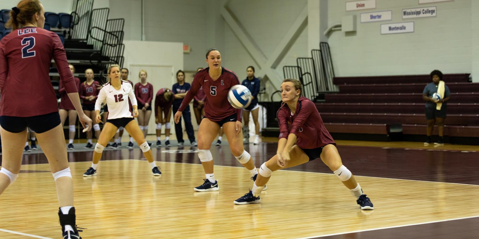 Bailey Kress - 2019 - Volleyball - Lee University Athletics