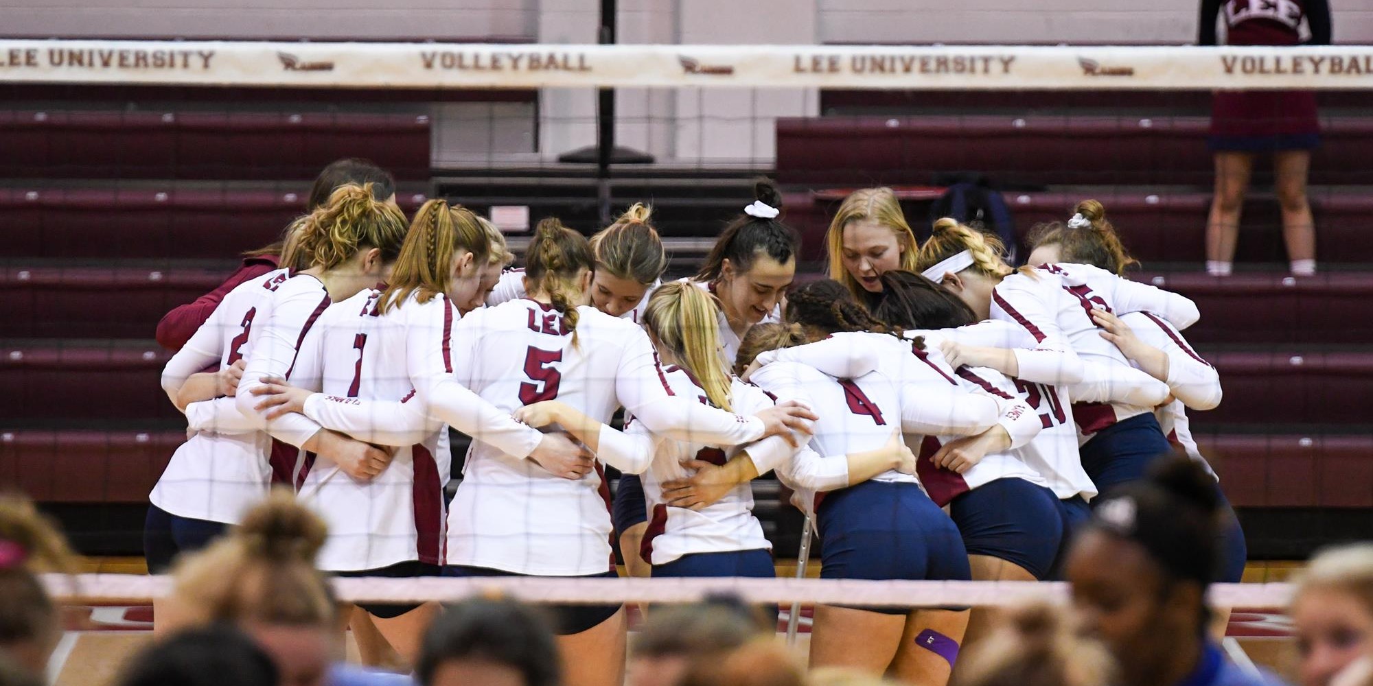 Search Committee Announced to Find New Volleyball Coach - Lee ...