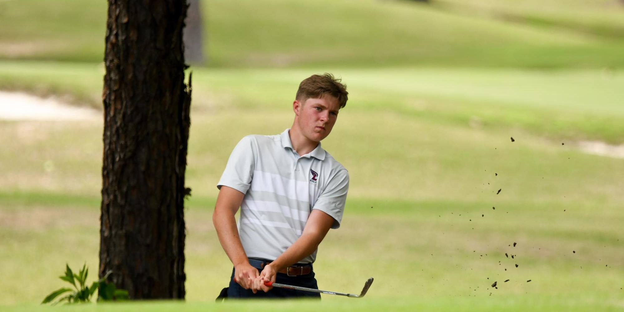 Burnette, Lewis-Perkins Honored As PING All-Americans - Lee University ...