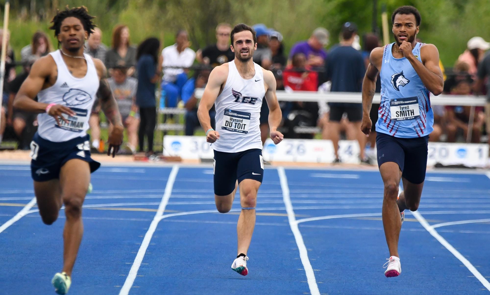 Wynand Du Toit - 2022 - Men's Track and Field - Lee University Athletics