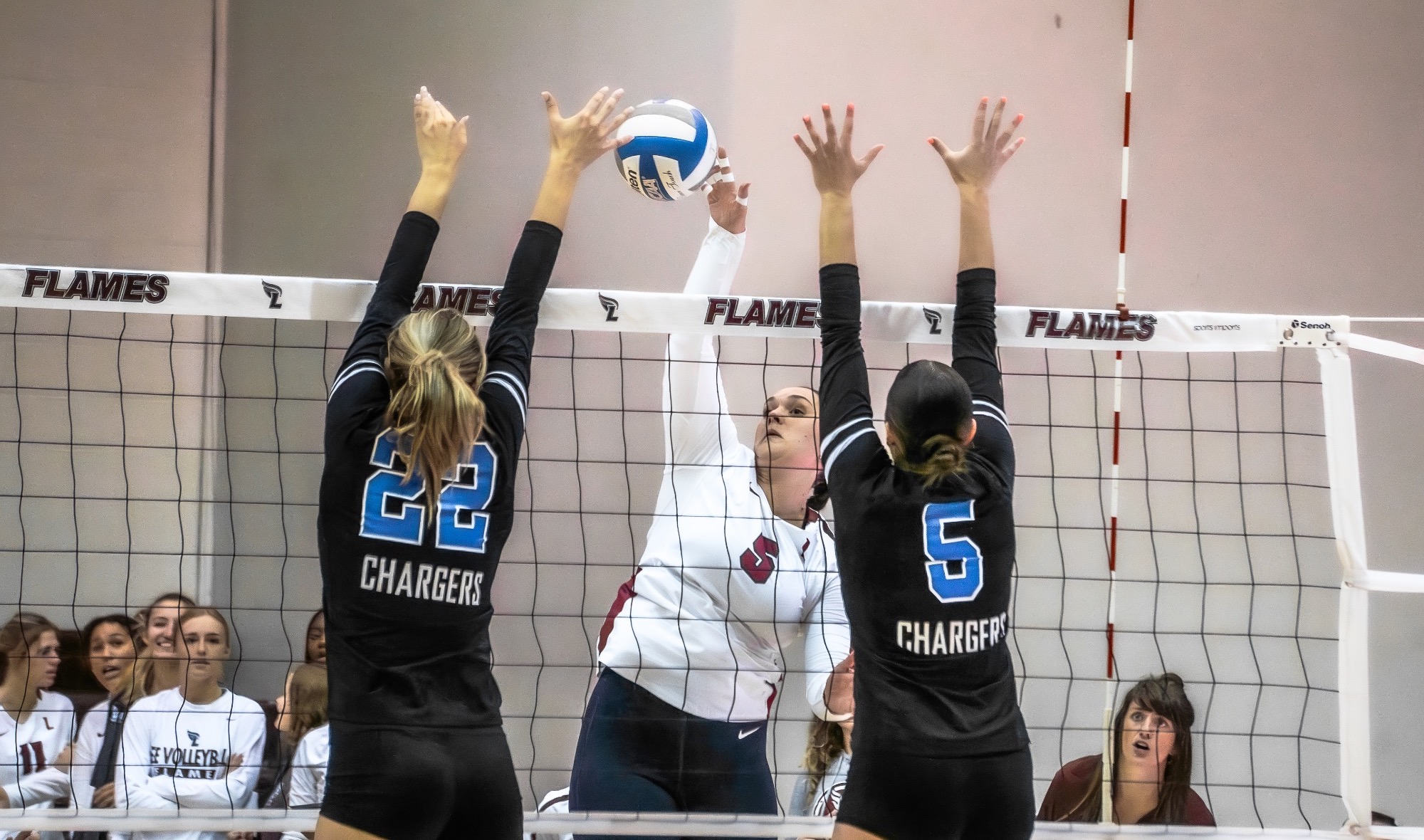 Abby Stroh - 2023 - Volleyball - Lee University Athletics