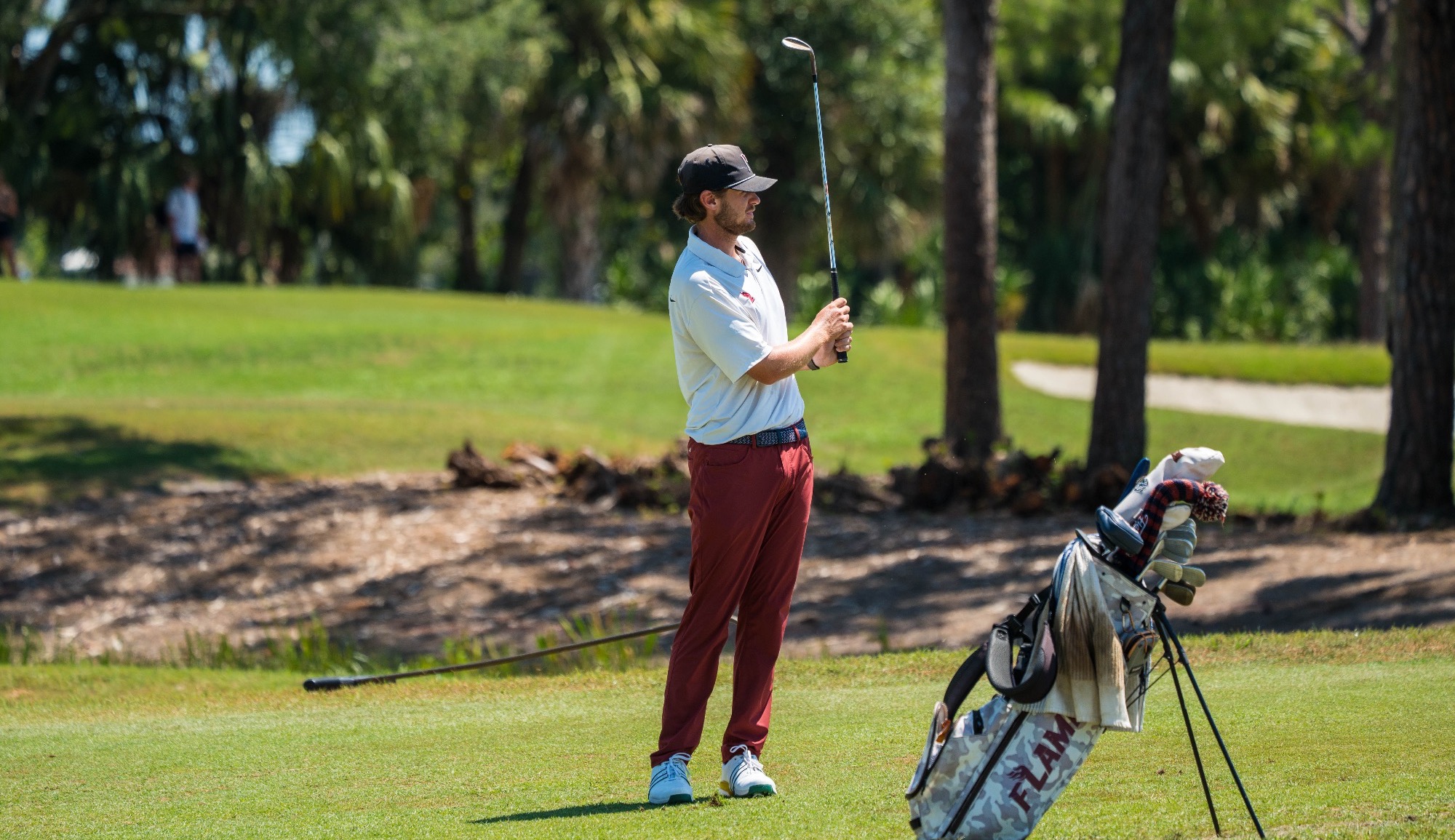 Zielinski Named PING Honorable Mention All-American - Lee University ...