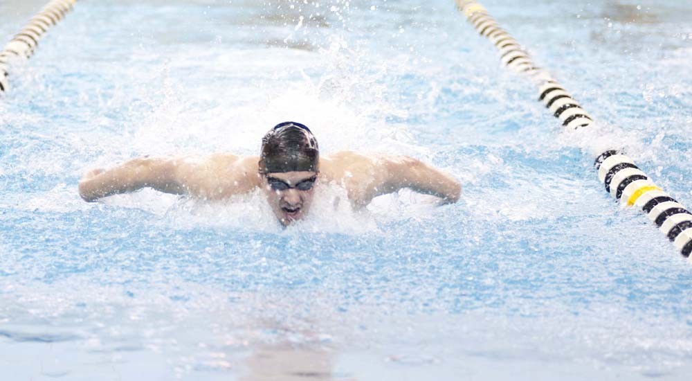 Christopher Hoke - Men's Swimming and Diving - Lehigh University Athletics
