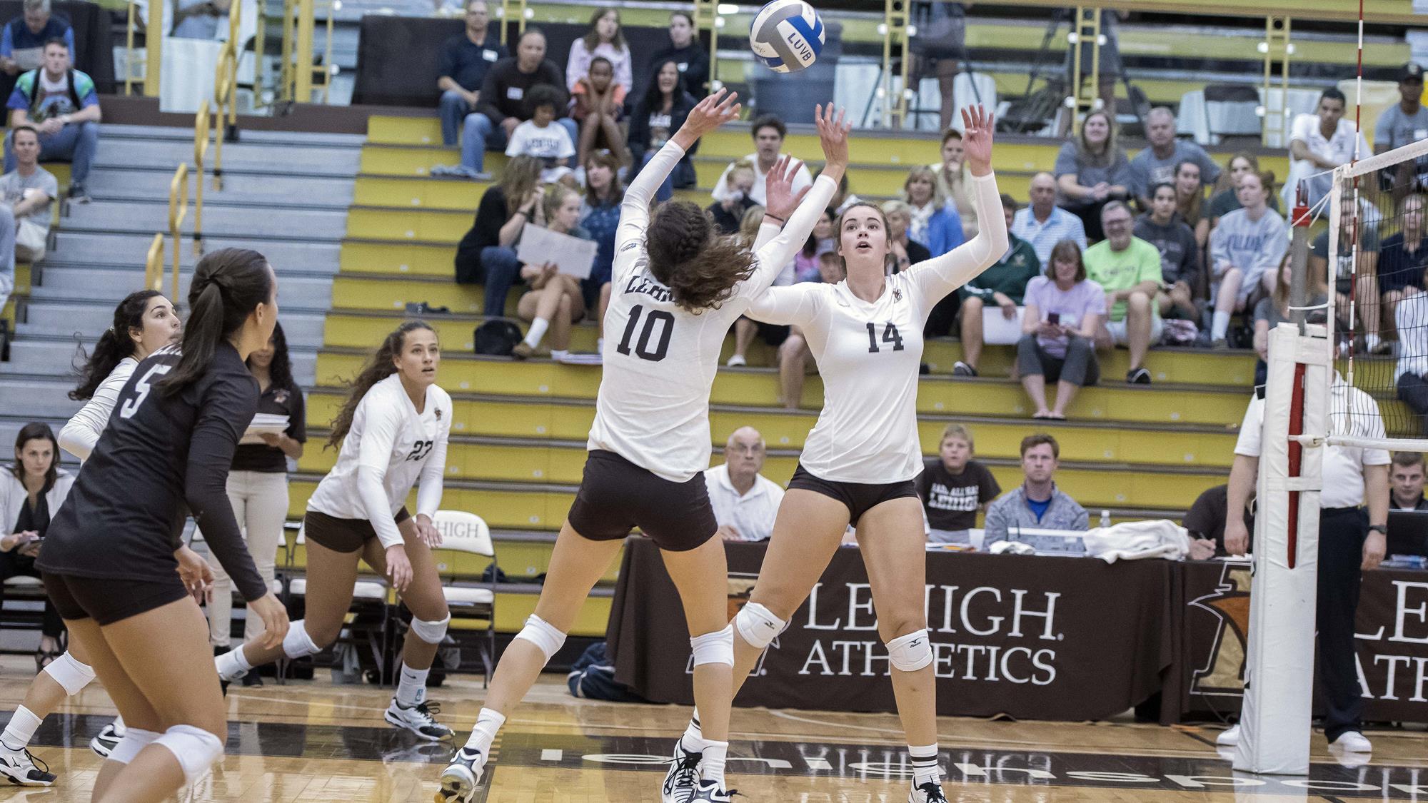 Emily Poole - Volleyball - Lehigh University Athletics